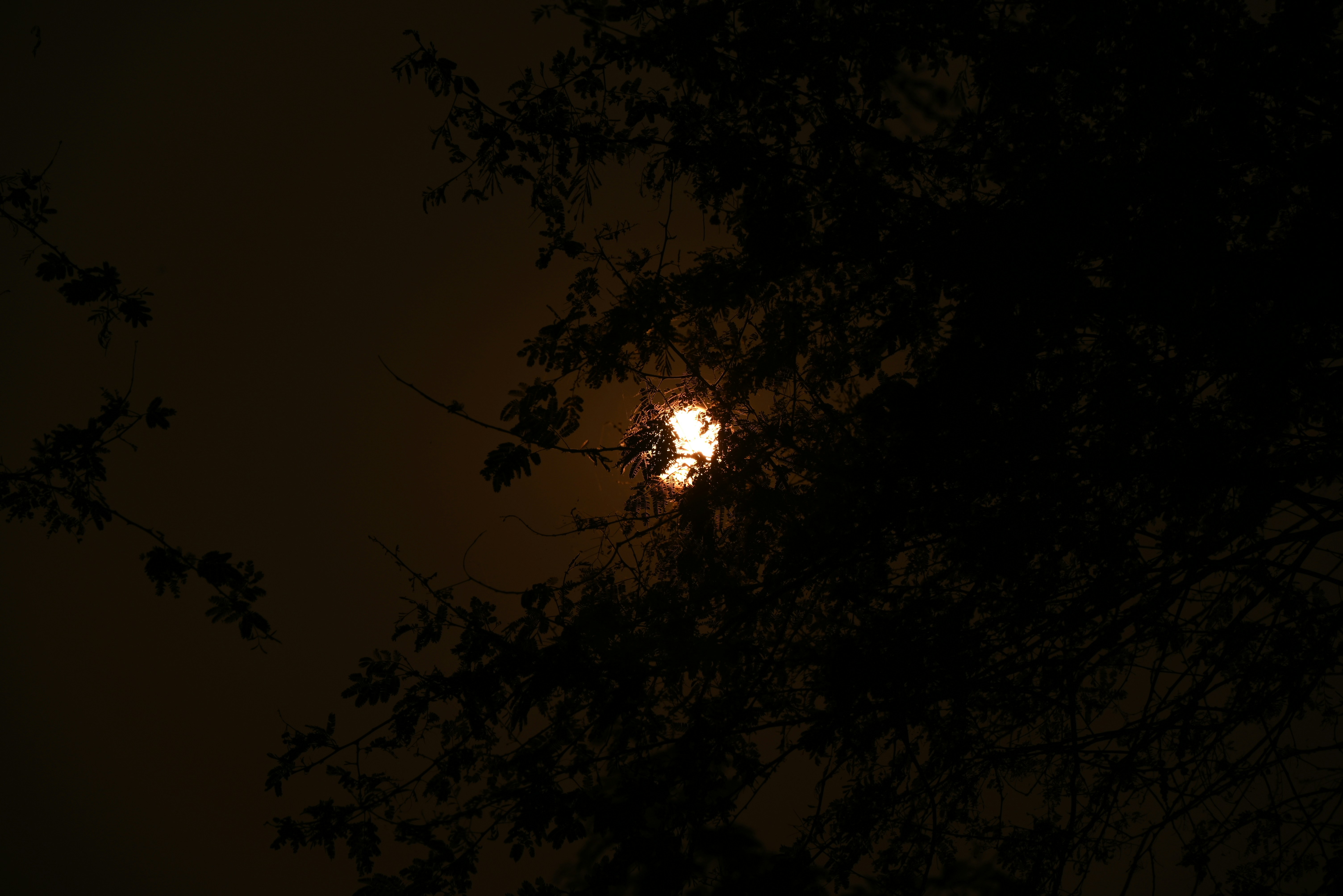 Veiled Radiance: The Moon's Subtle Glow