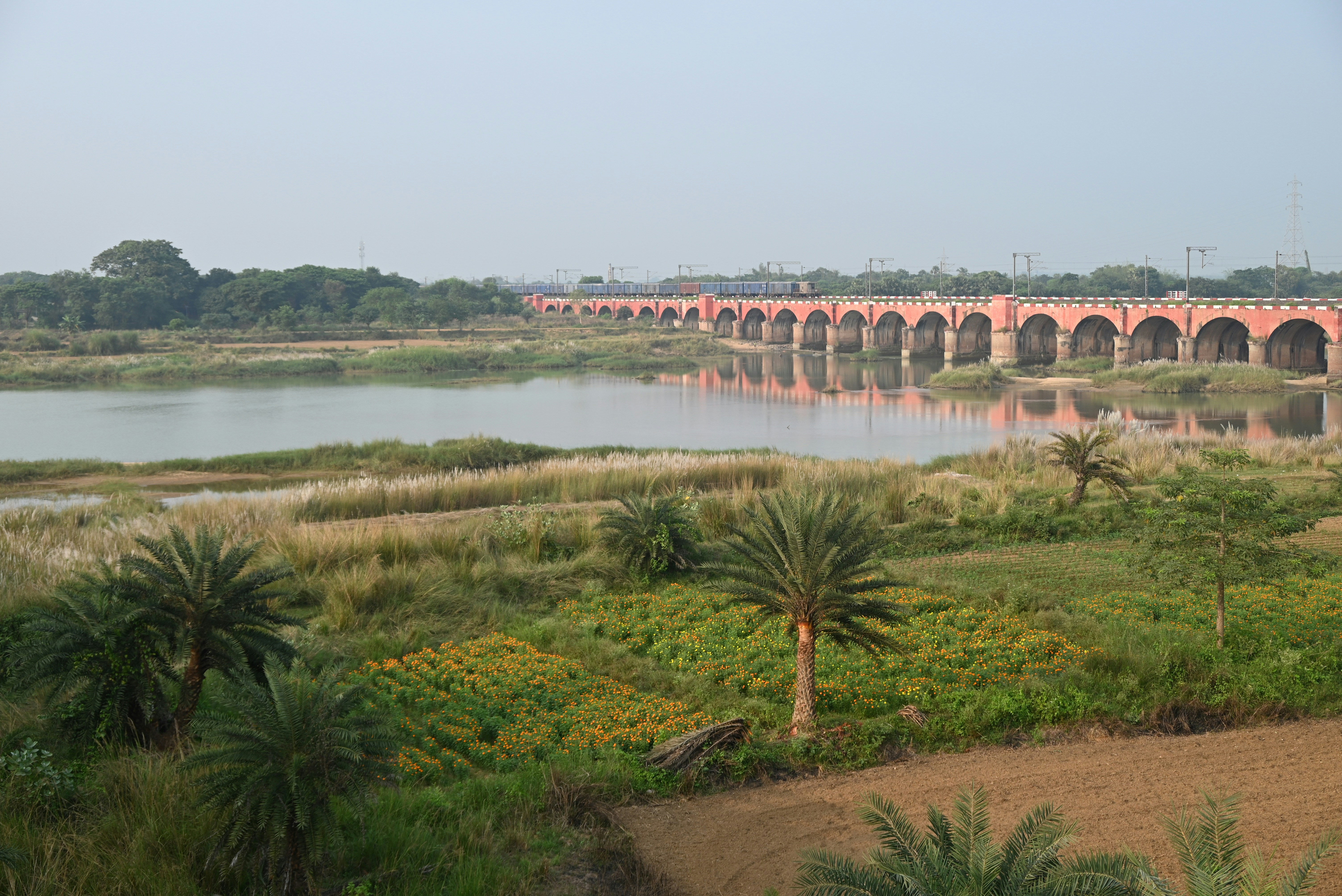 Bridging Nature and Structure: A Serene Landscape