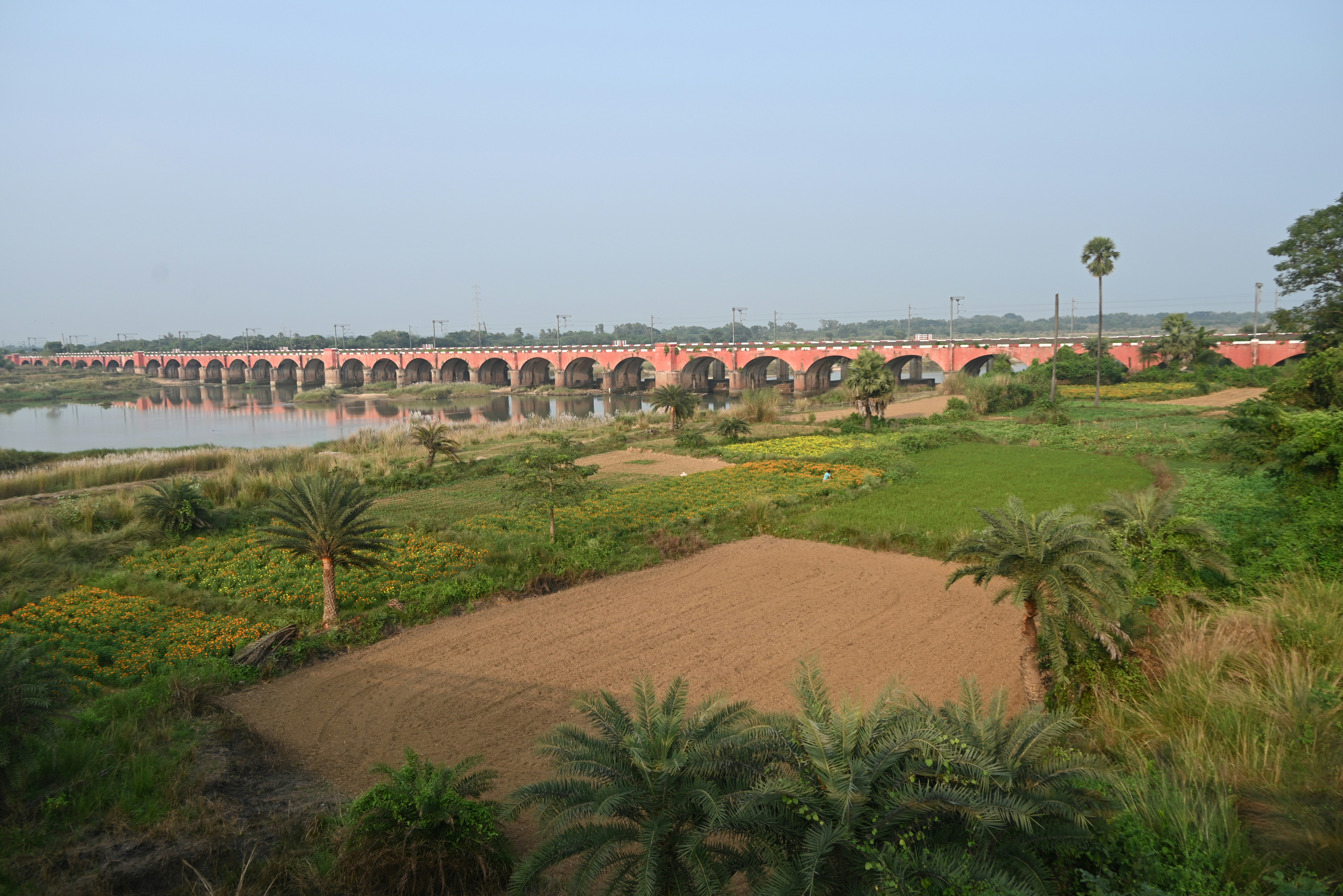 Bridging Nature and Architecture