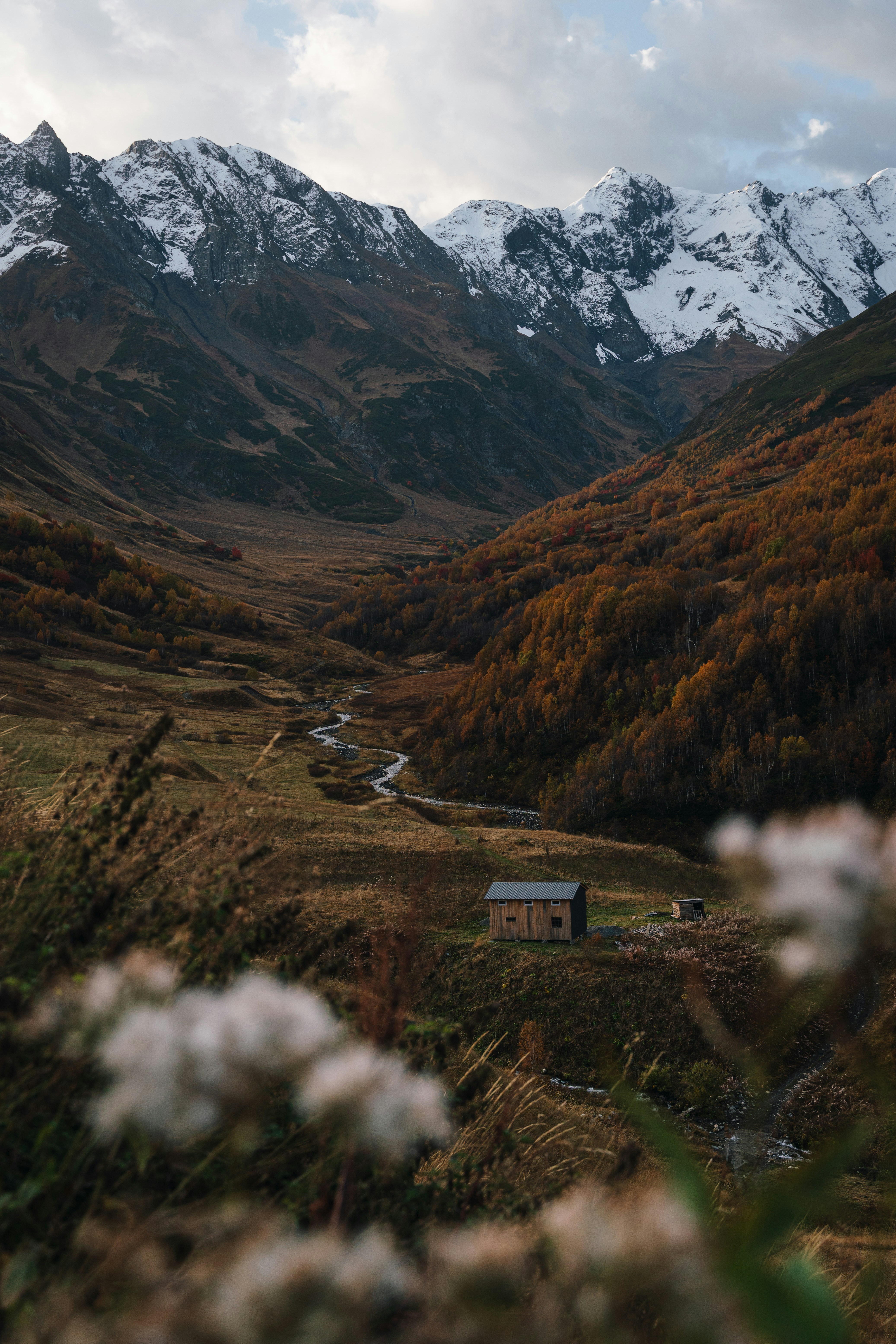 Whispers of Autumn in the Alpine Valley