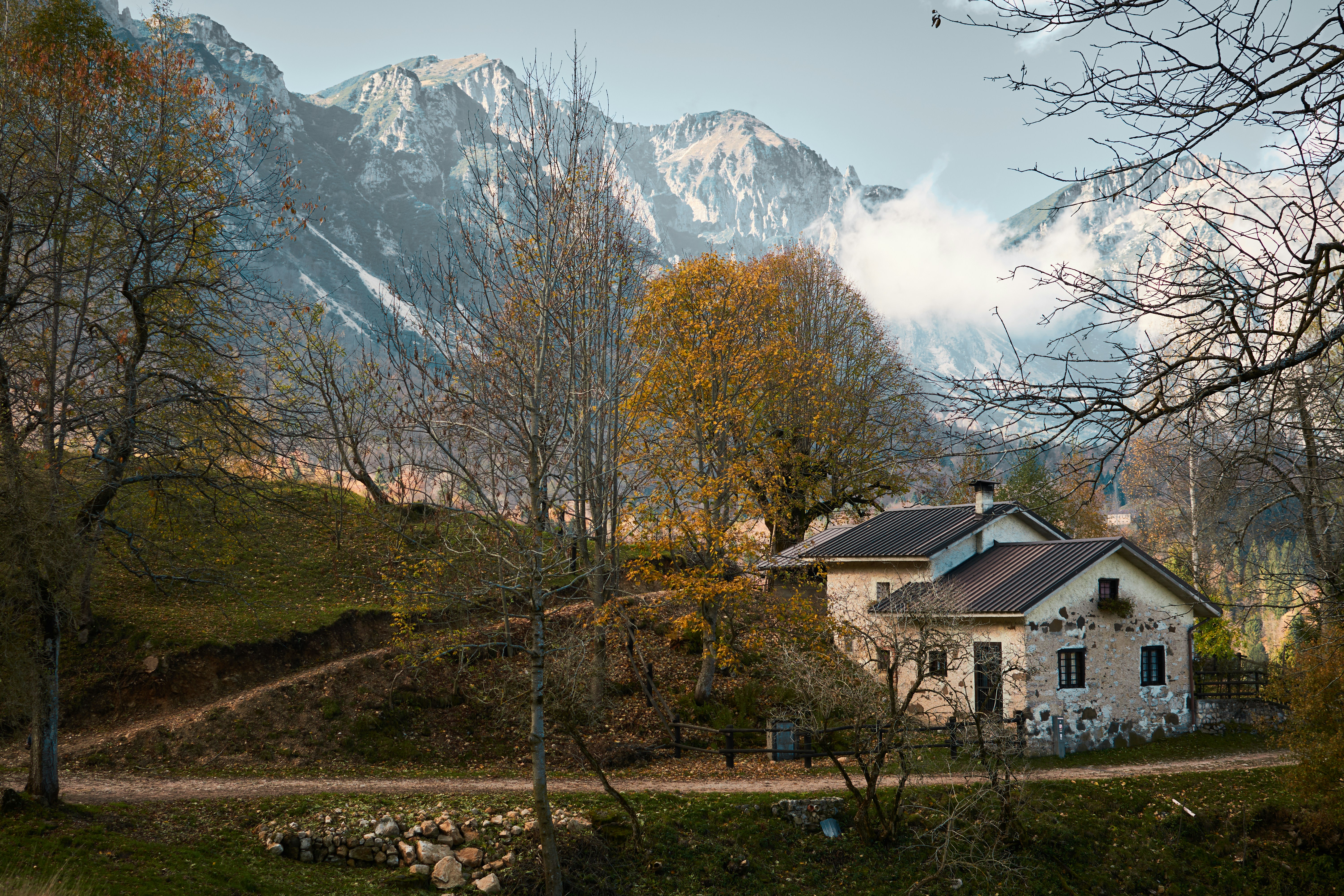 Photo by Michael Baccin with Nikon D5500