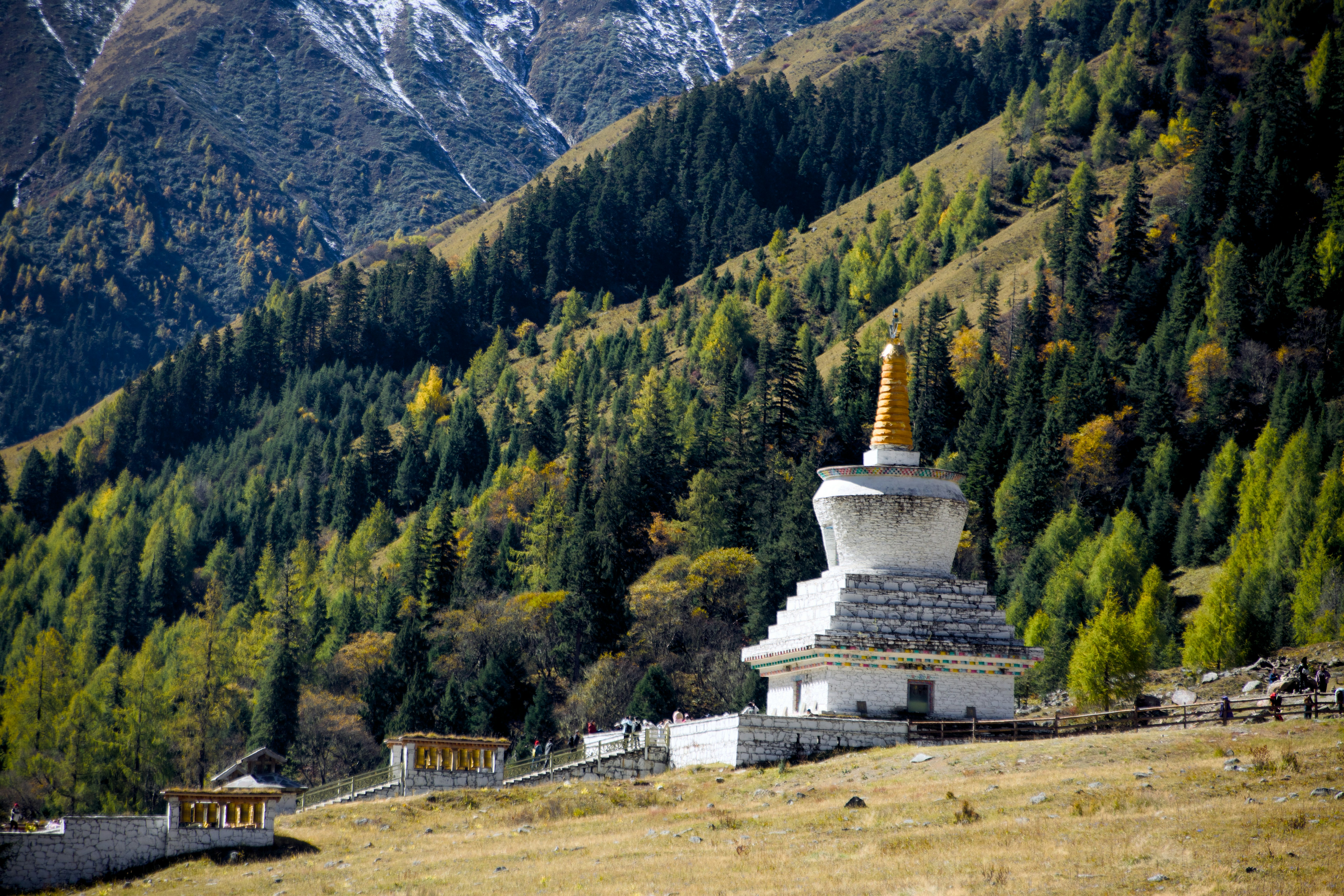 A white stupa stands majestically against a backdrop of lush green forests and rugged mountains, embodying a serene connection between nature and spirituality.