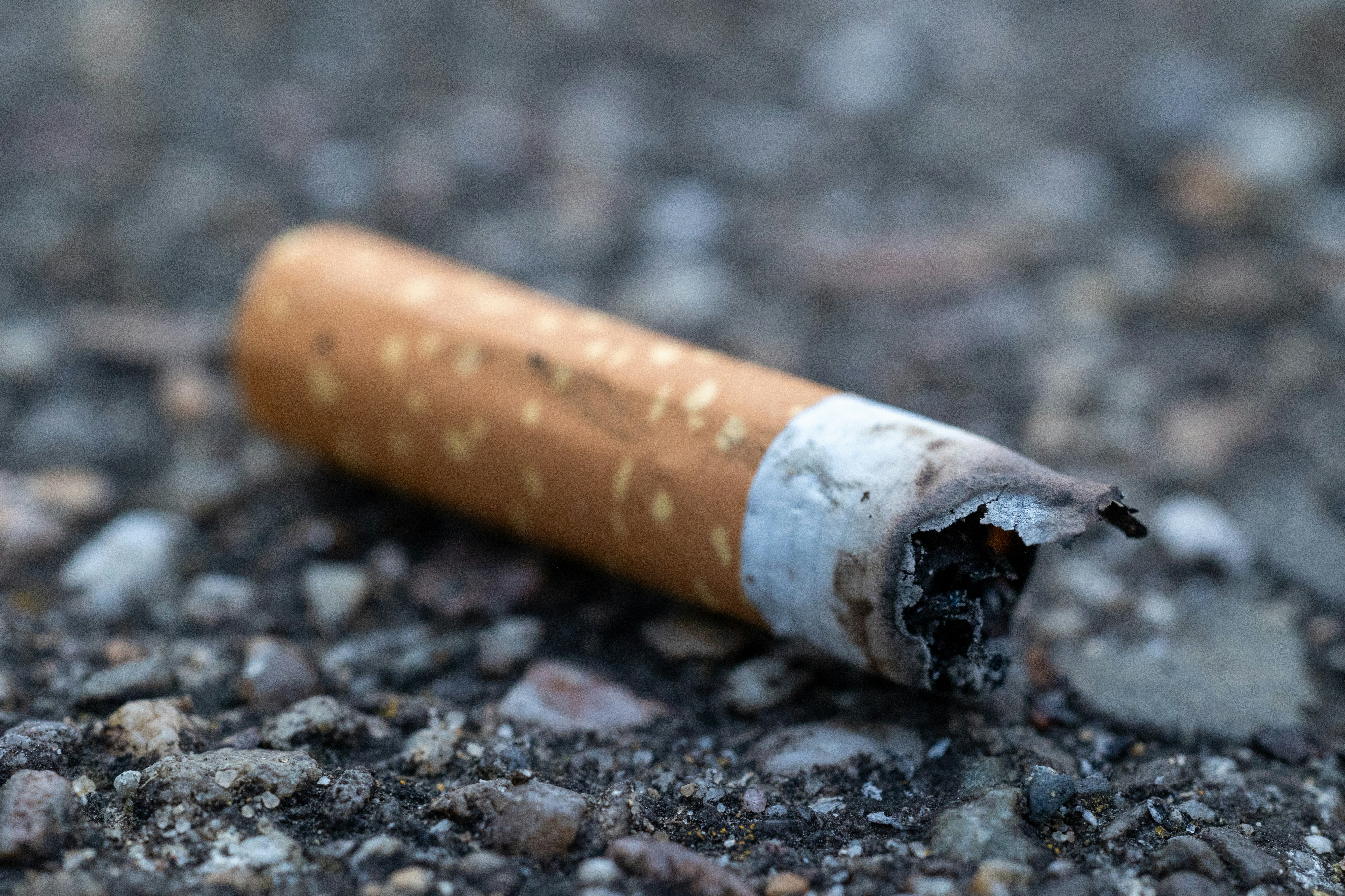 Burnt cigarrette on the street of Essen, NRW | A discarded cigarette butt lies on the ground.