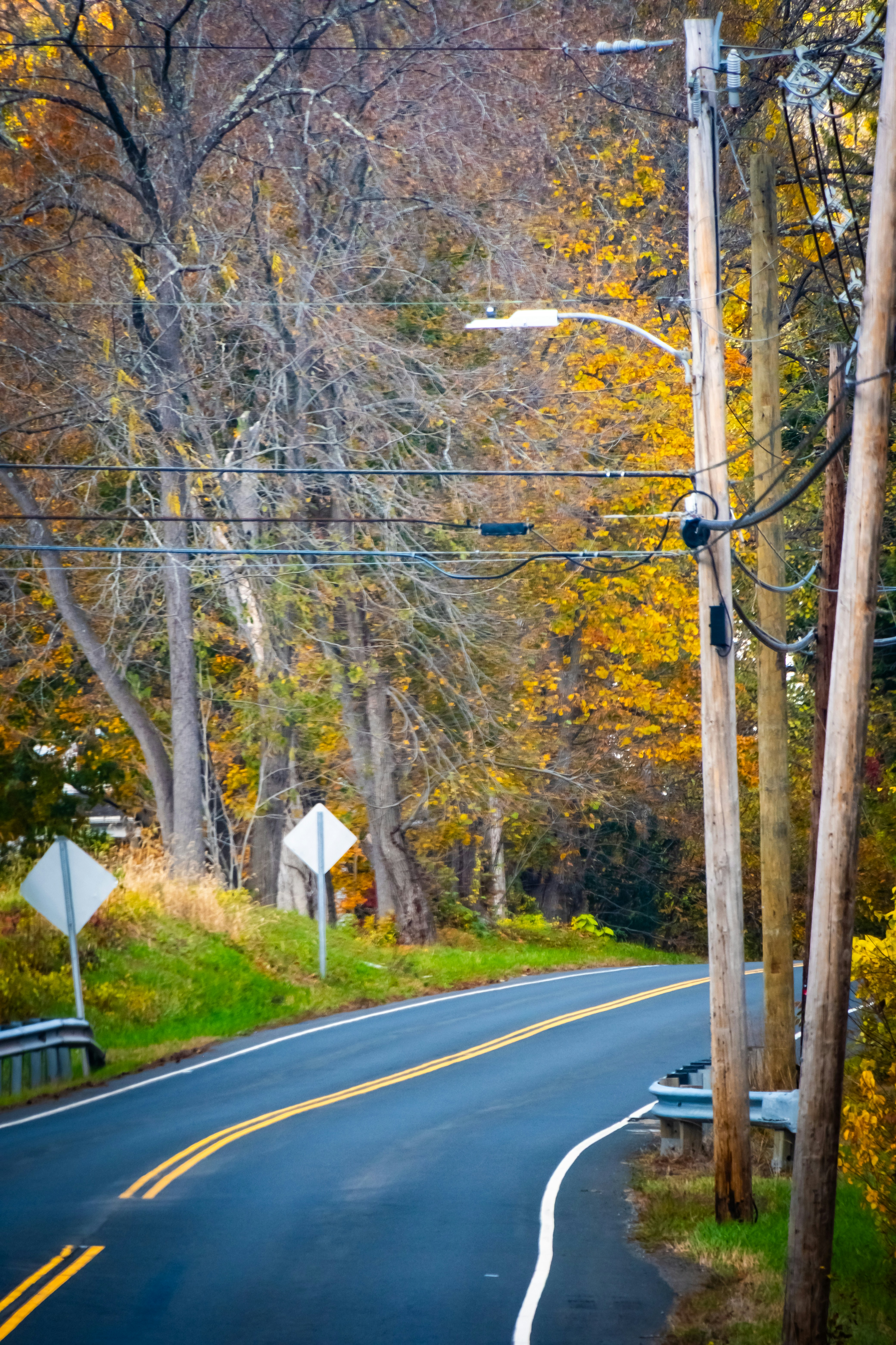 Photo by MICHAEL CHIARA with Fujifilm X-H2S