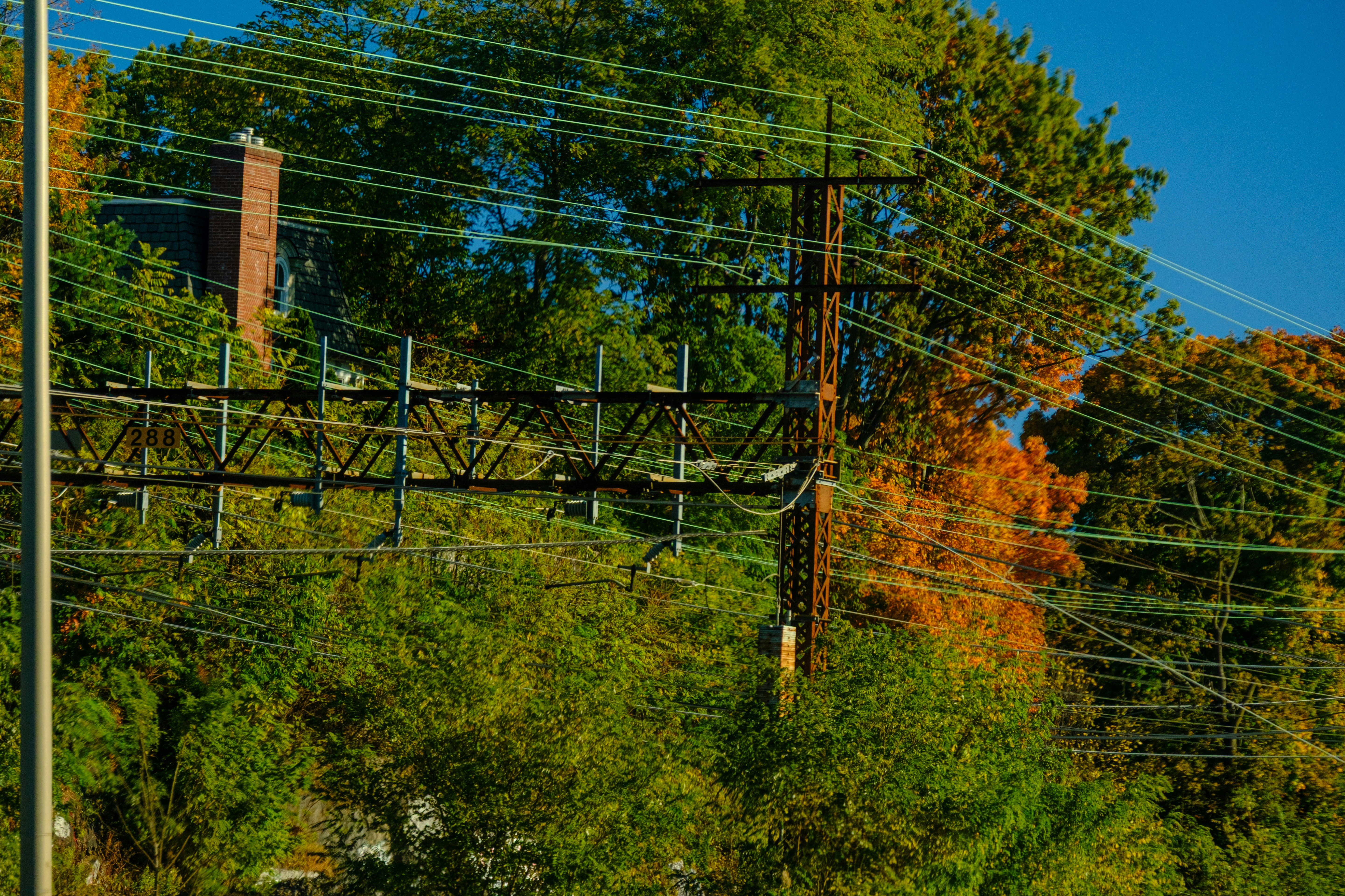 Power lines crisscrossing through vibrant autumn foliage, showcasing the interplay of technology and nature.