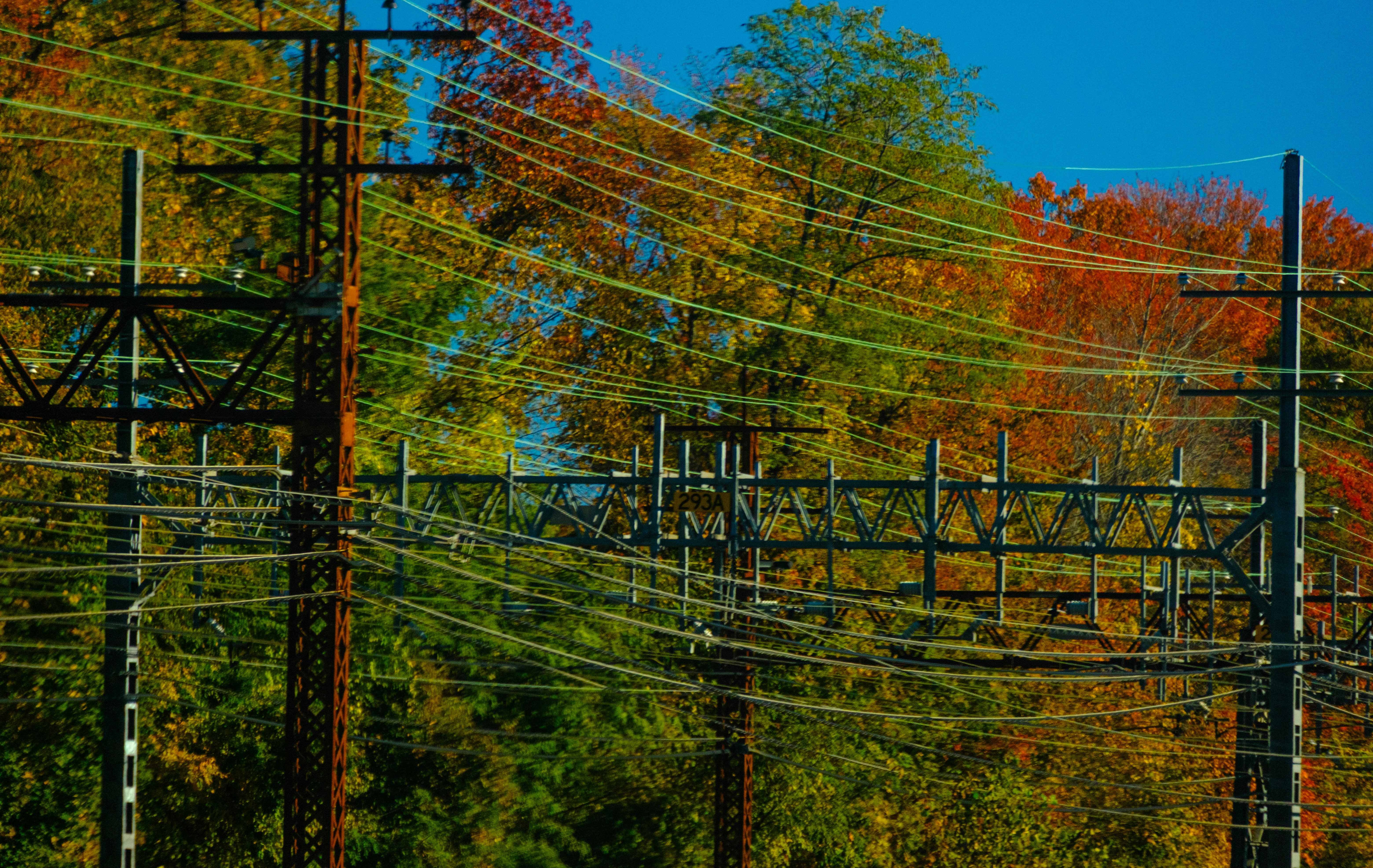 Electric Symphony in Autumn Hues