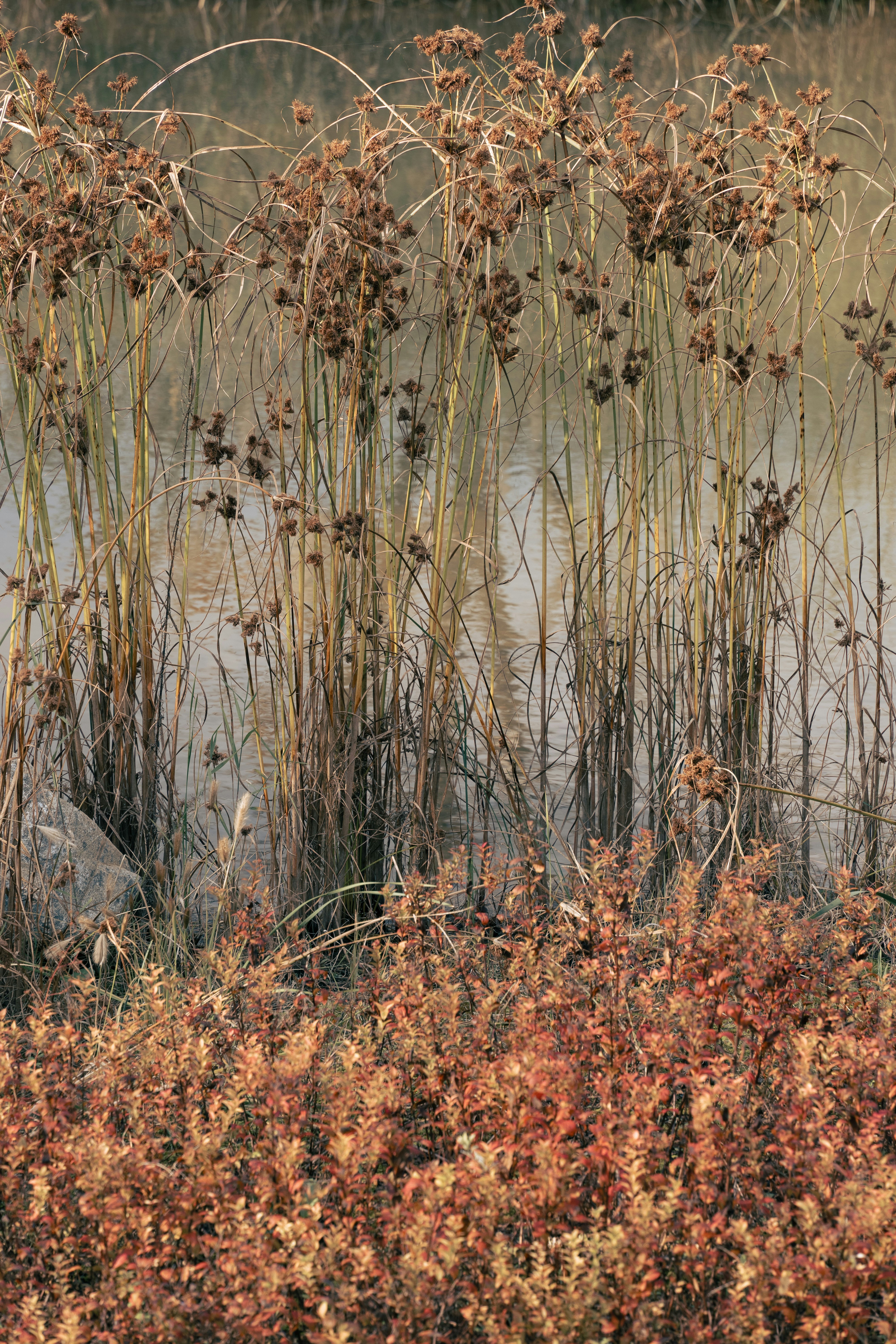 Photo by 123Duo3 with Sony Alpha 7 II