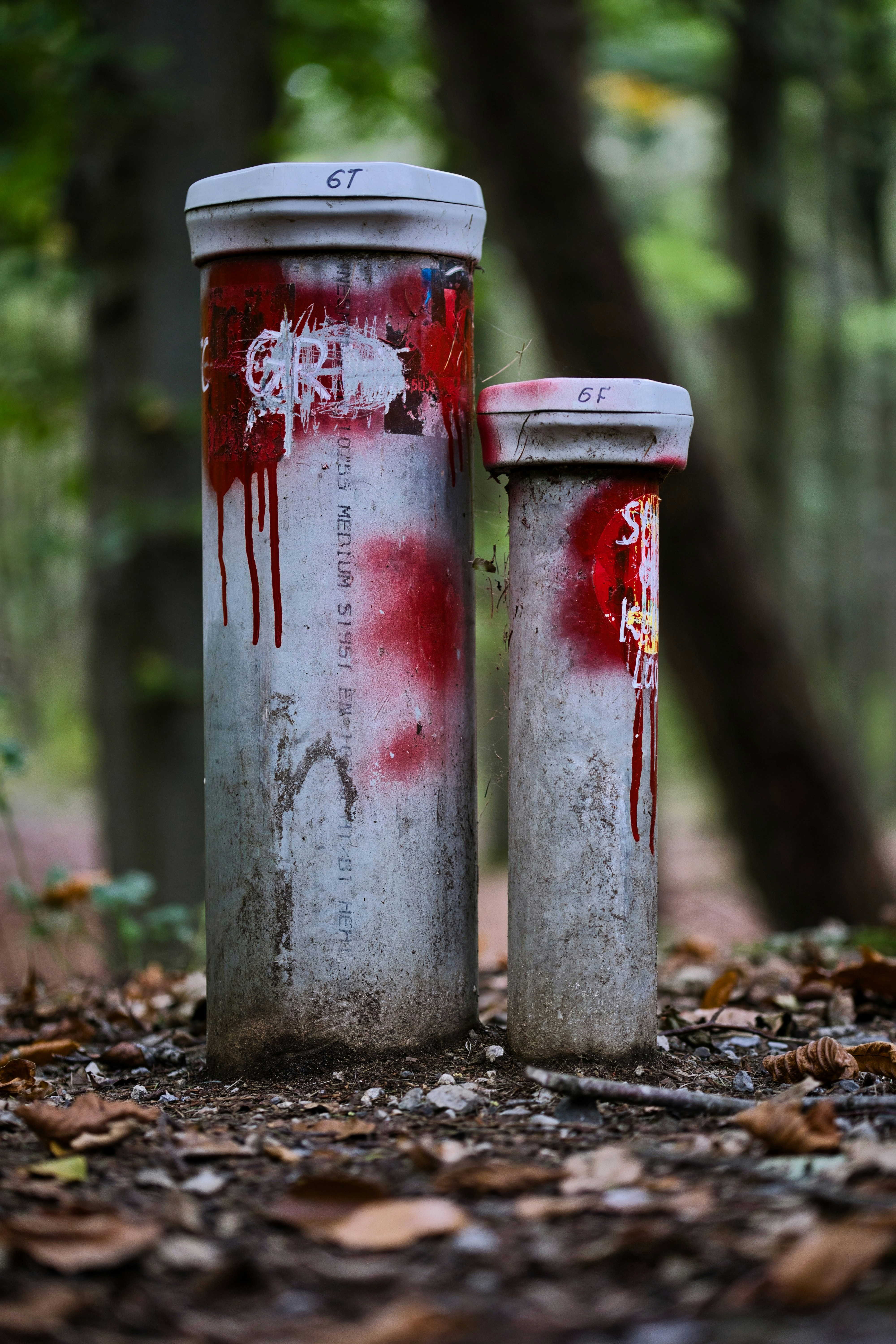 Forest Sentinels: Rusted Pipes Guard a Leaf-Littered Path