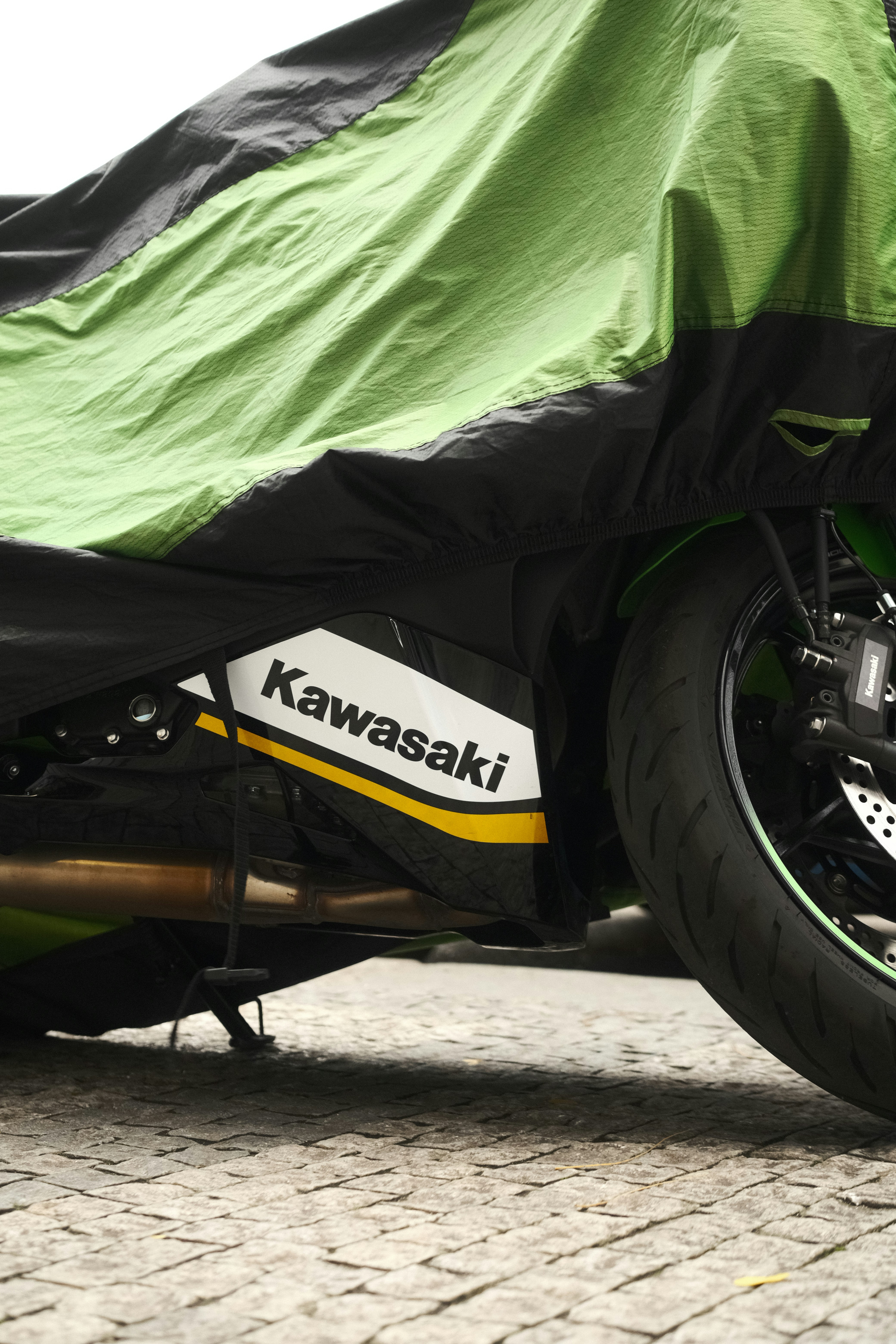 Veiled Power: The Hidden Kawasaki