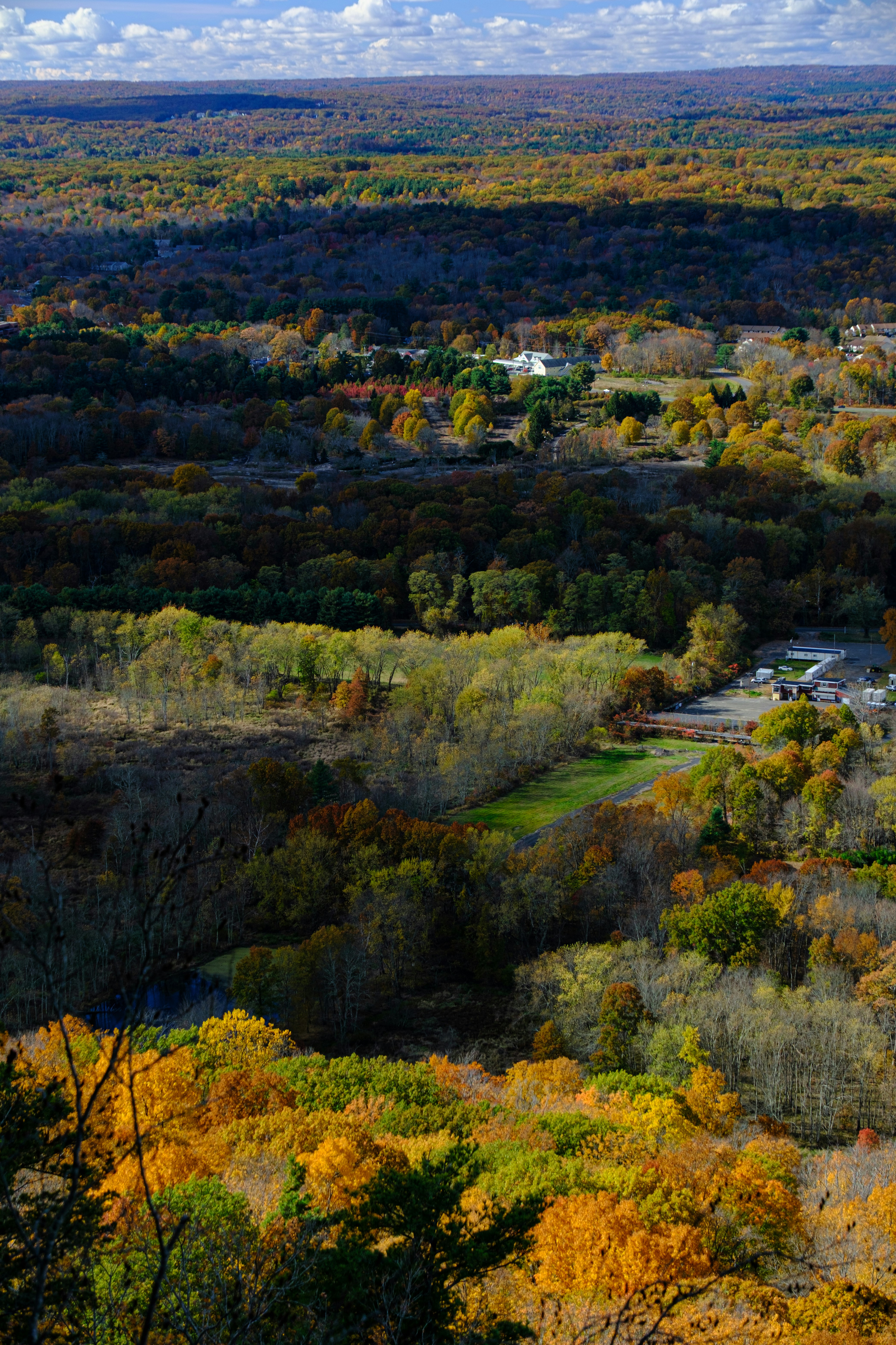 Vibrant autumn foliage blankets rolling hills, showcasing a rich tapestry of colors from golden yellows to deep reds, with a serene valley below.