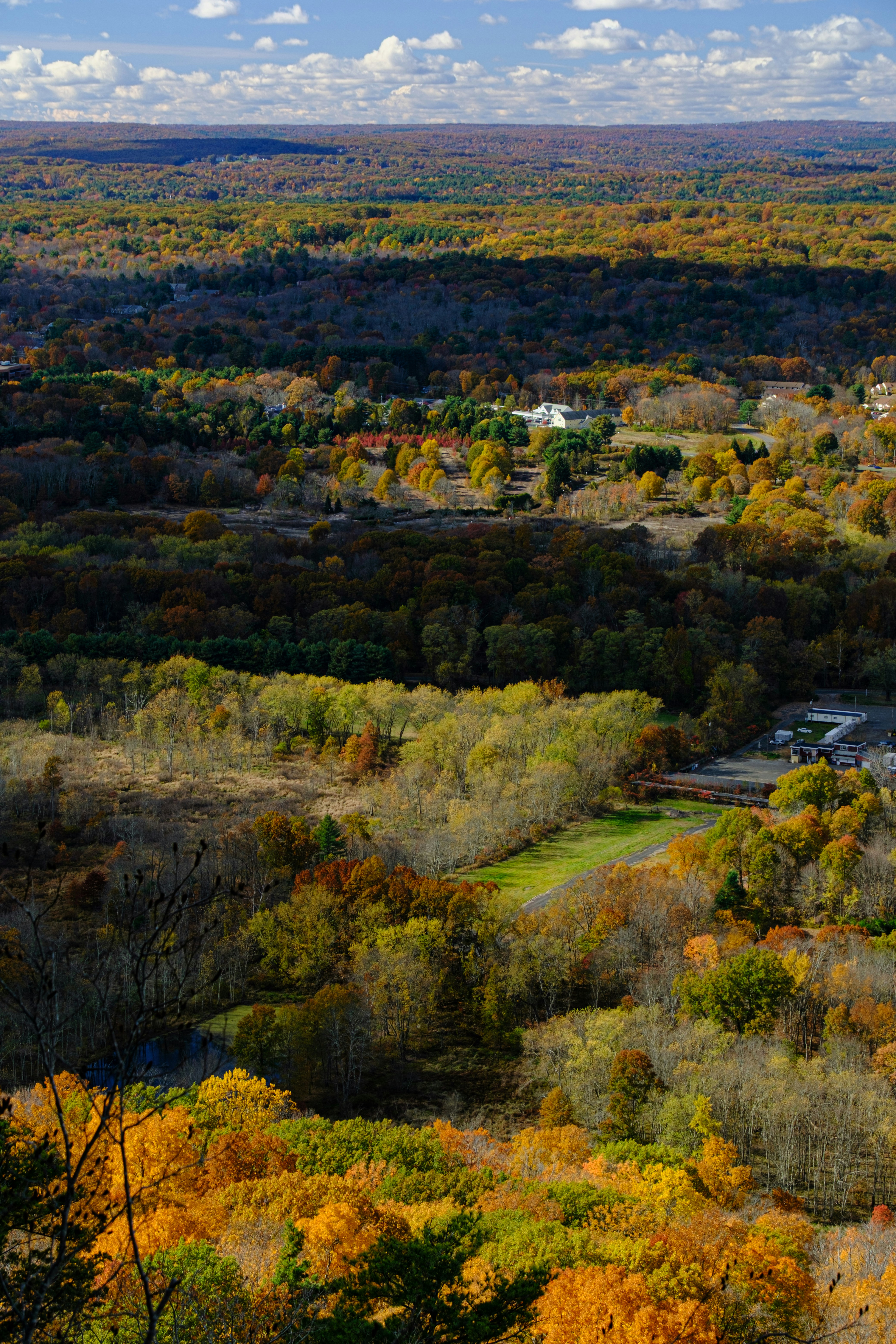 Photo by MICHAEL CHIARA with Fujifilm X-H2S