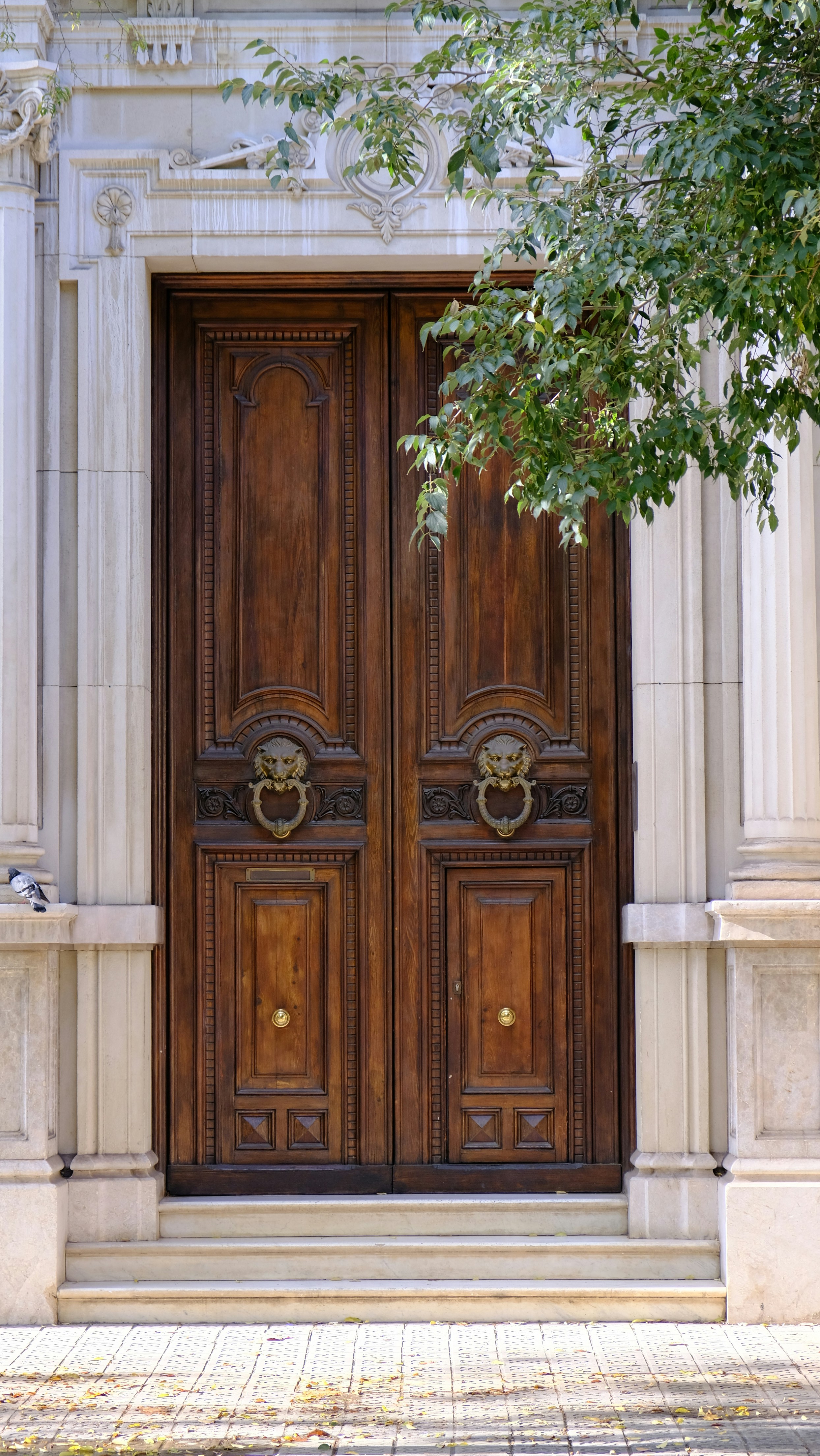Ornate wooden double doors with lion head knockers