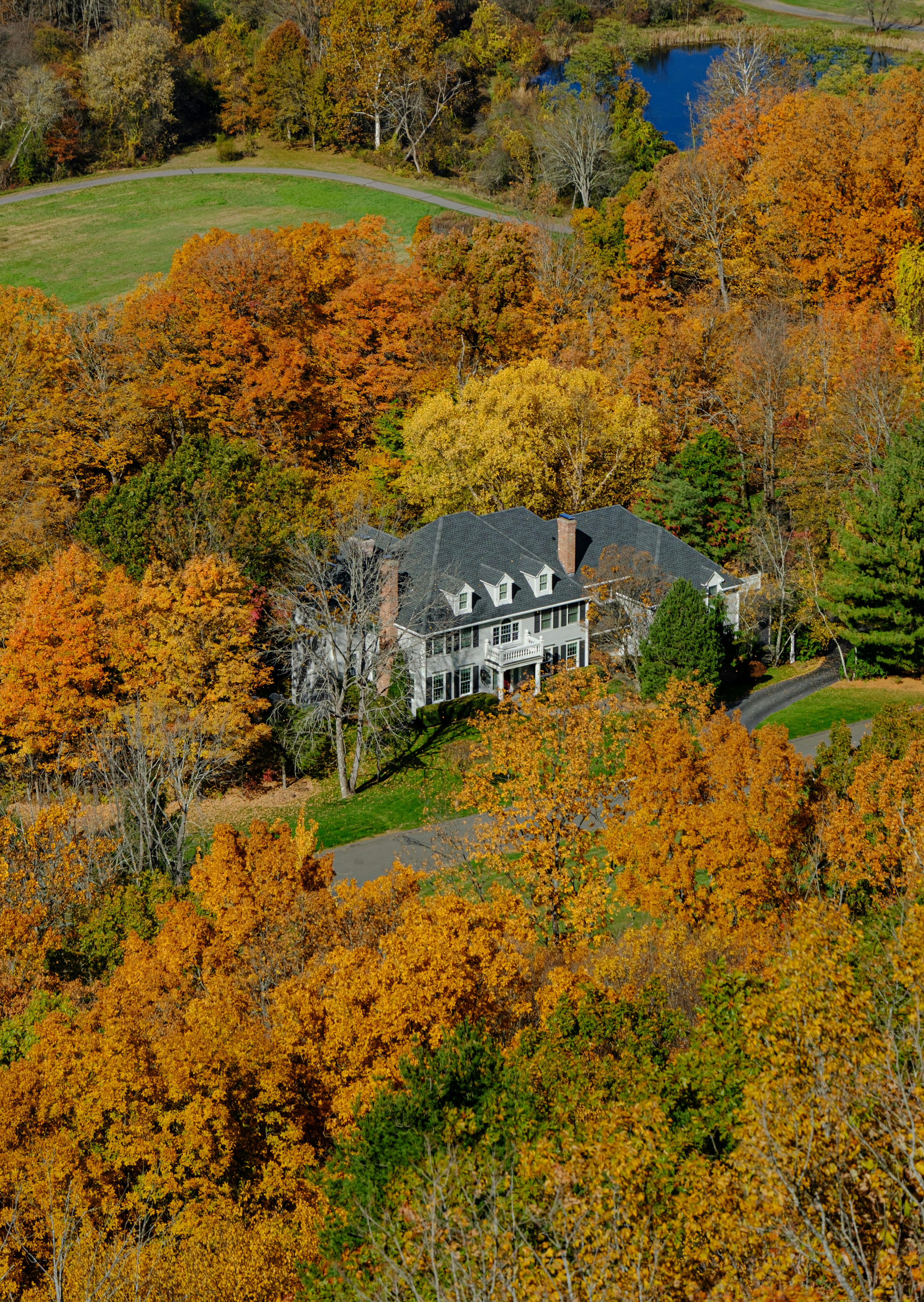 Autumn's Embrace: A Serene Retreat