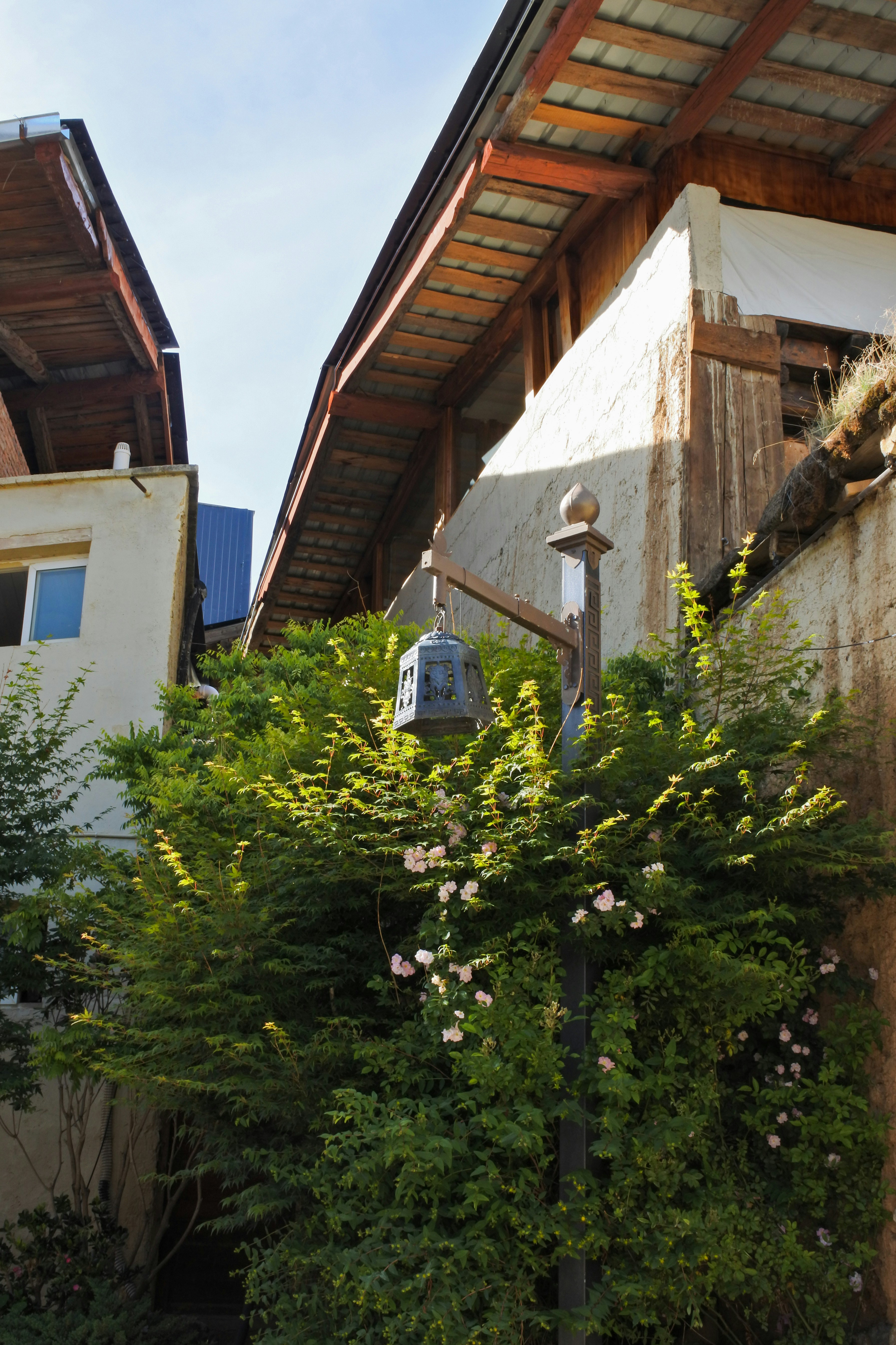 Lantern Among Verdant Veranda Beams
