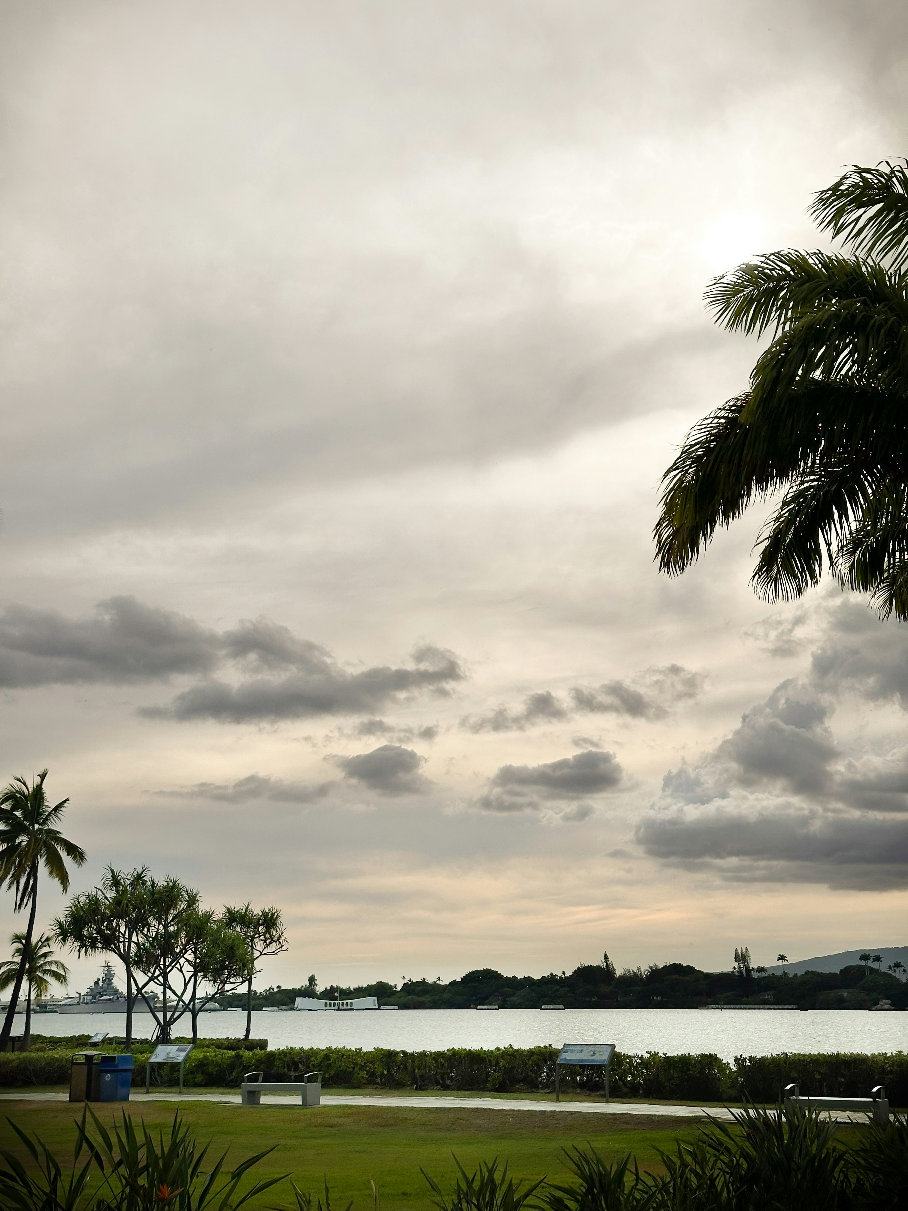 Whispers of the Tropical Evening