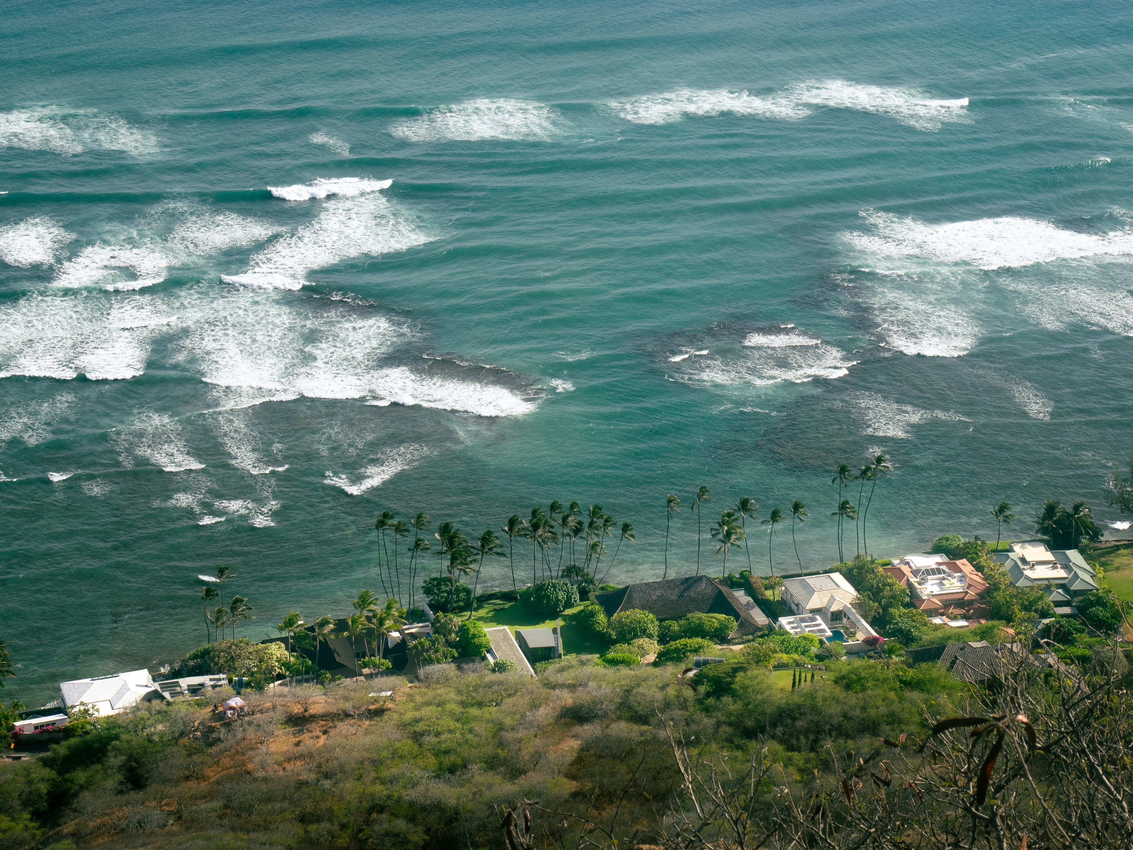 Waves crash on a tropical coastline with palm trees.