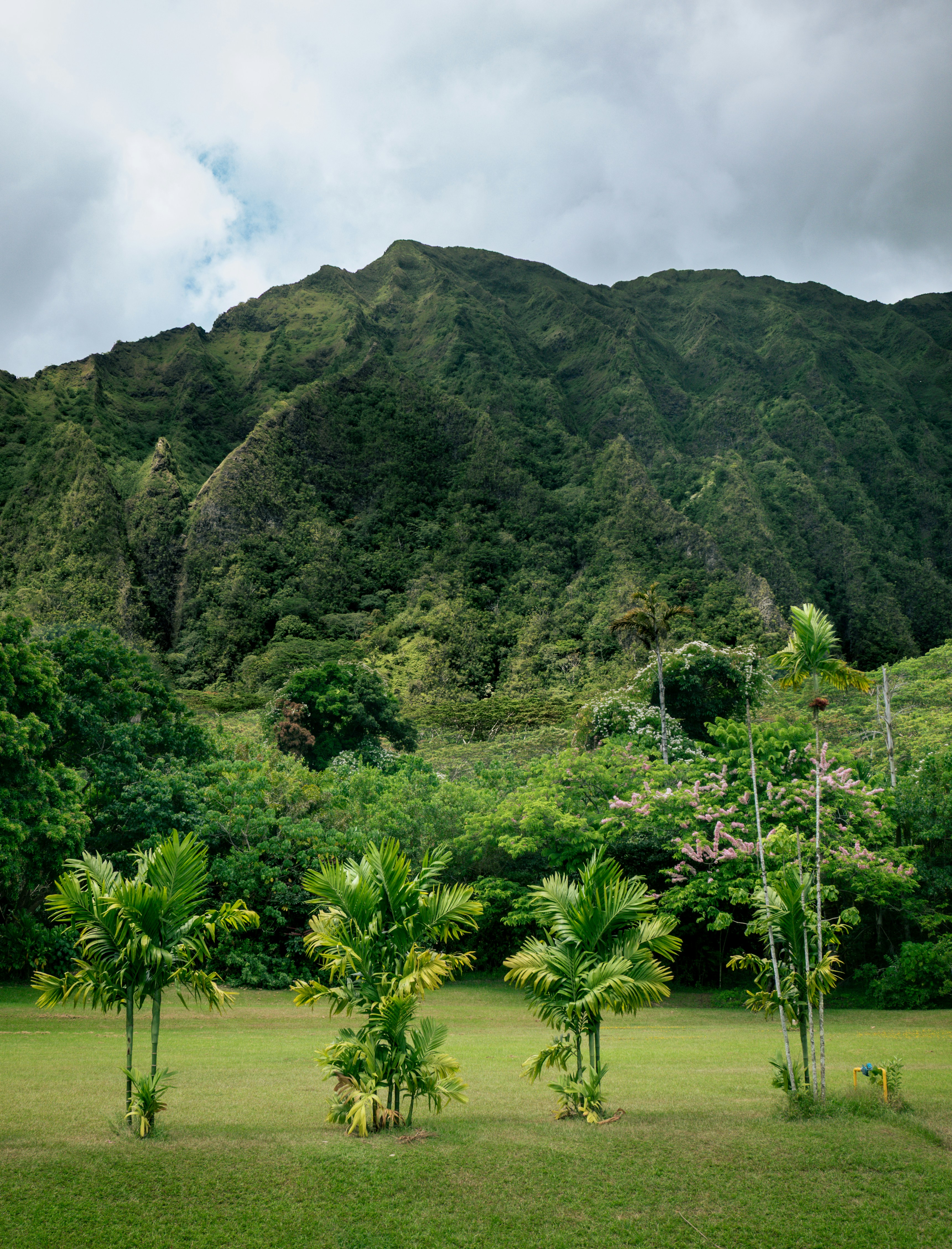 Photo by Macarena Ollarzú with Panasonic Lumix GM1