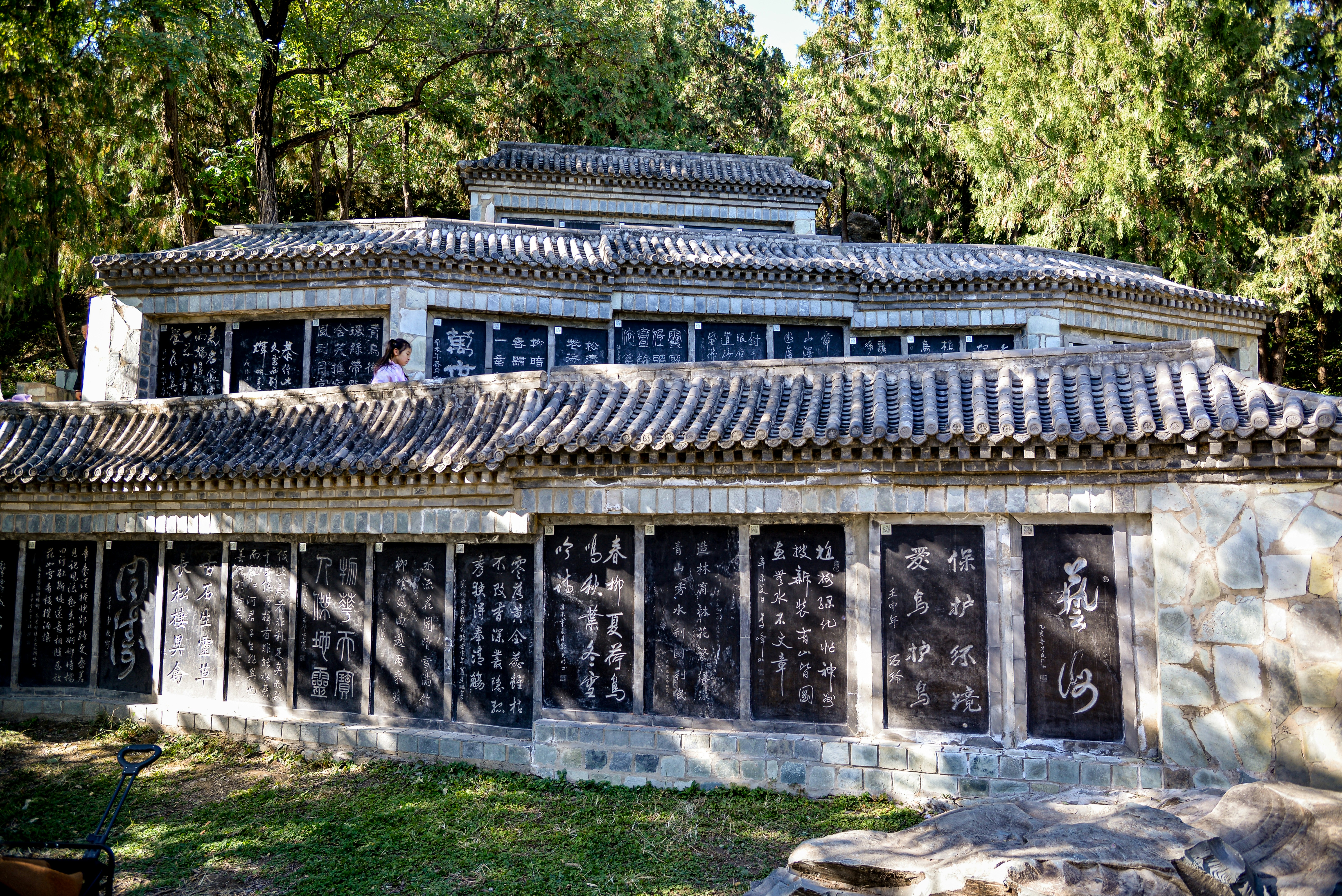 Echoes of History: The Stone Inscriptions