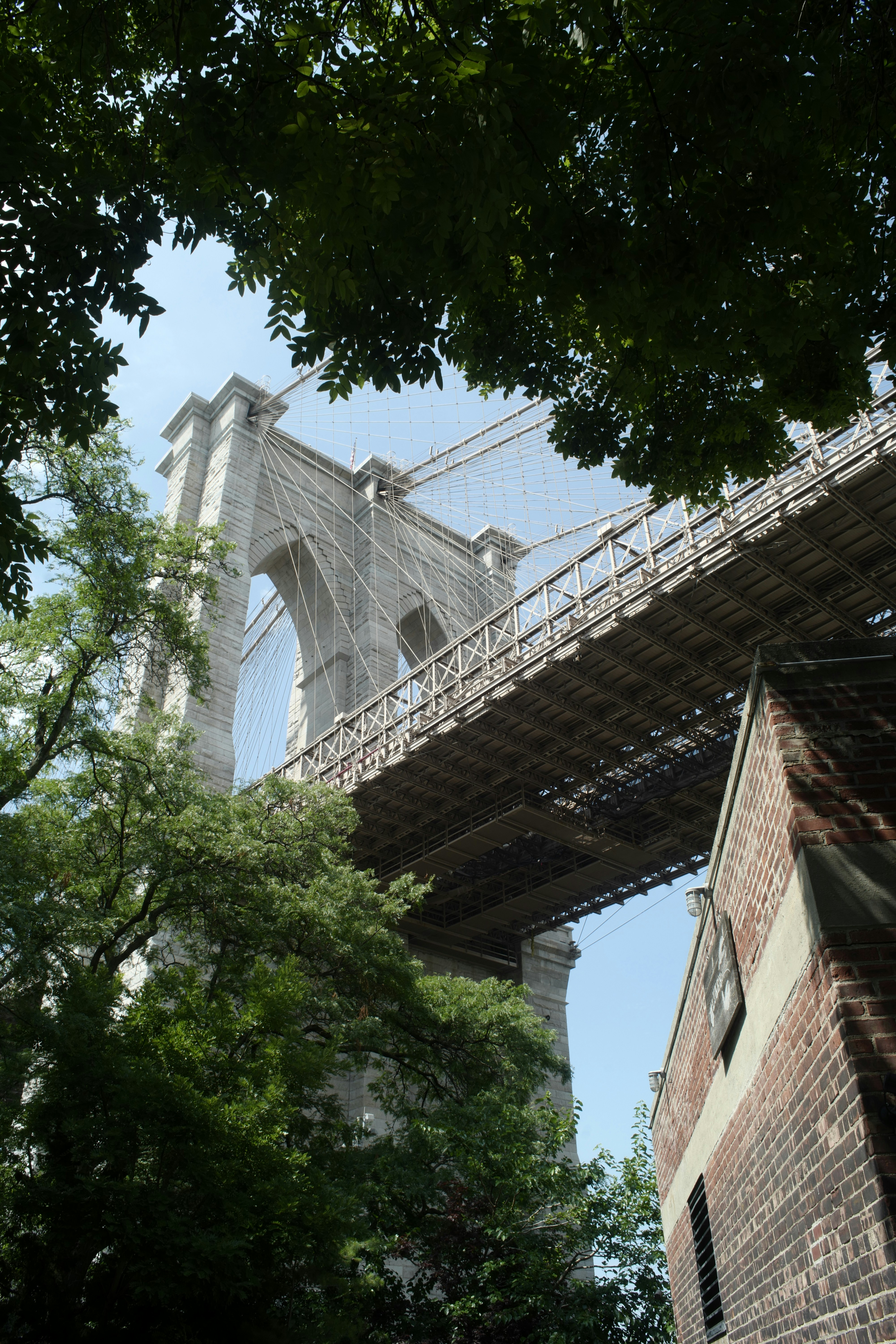 View of brooklyn bridge through trees and building.