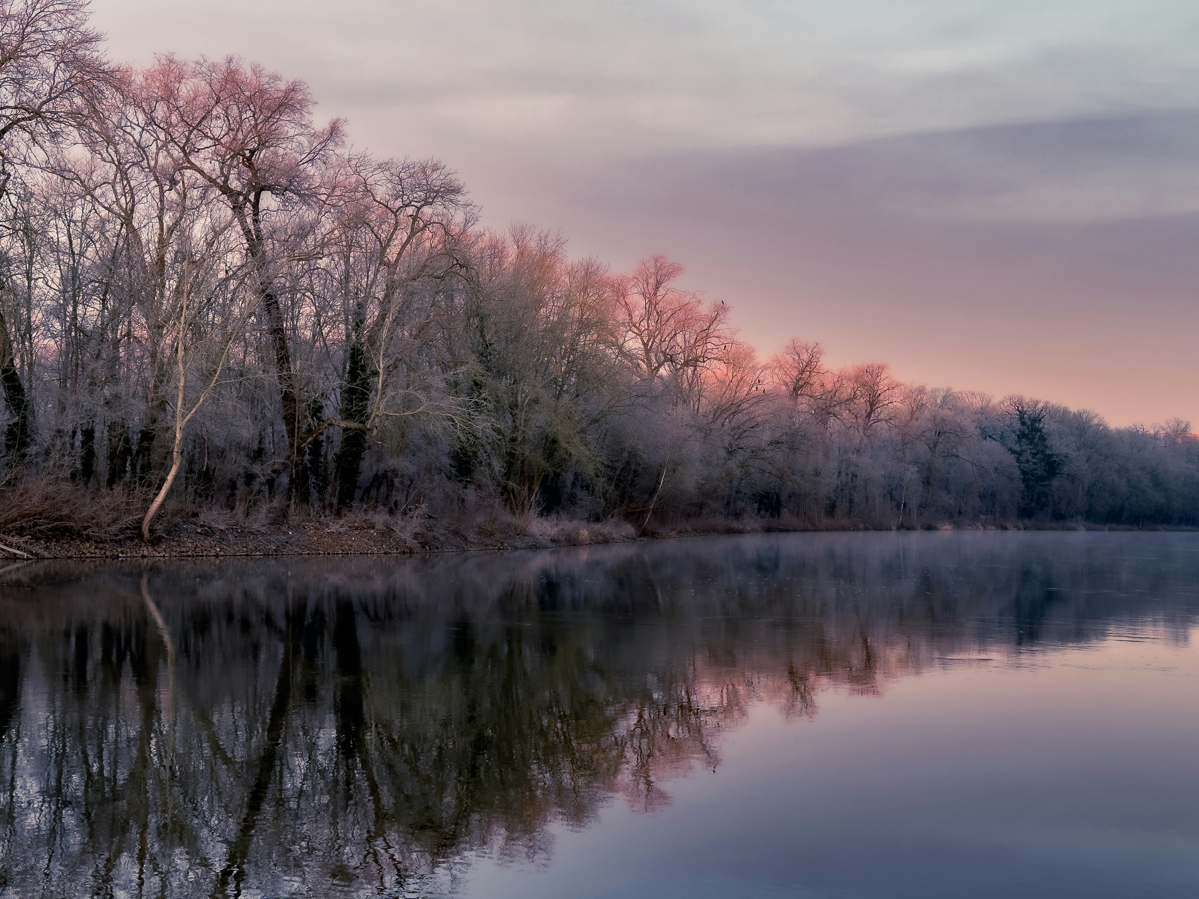 Whispers of Dawn by the Water's Edge