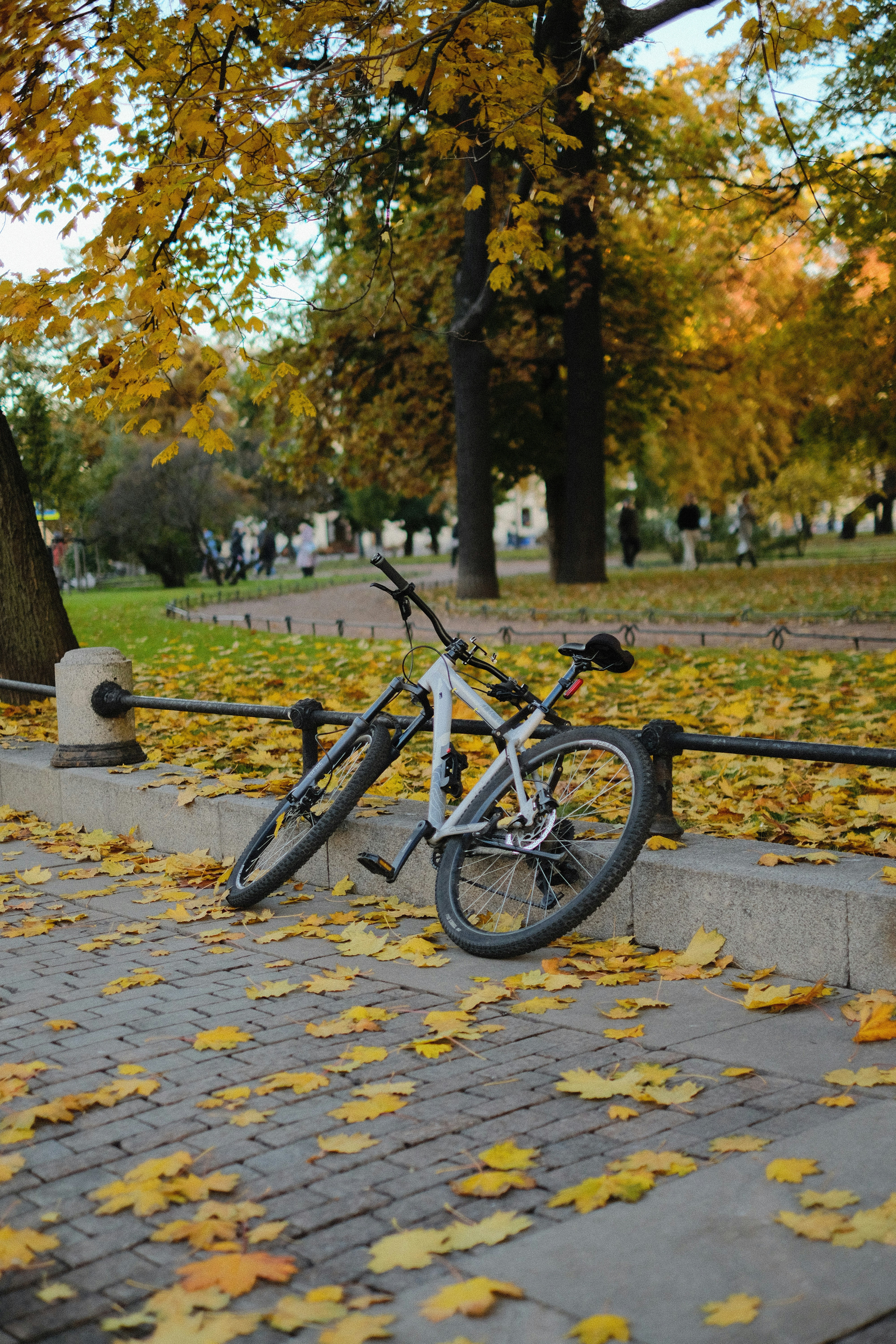 Autumn's Embrace: A Bicycle's Rest