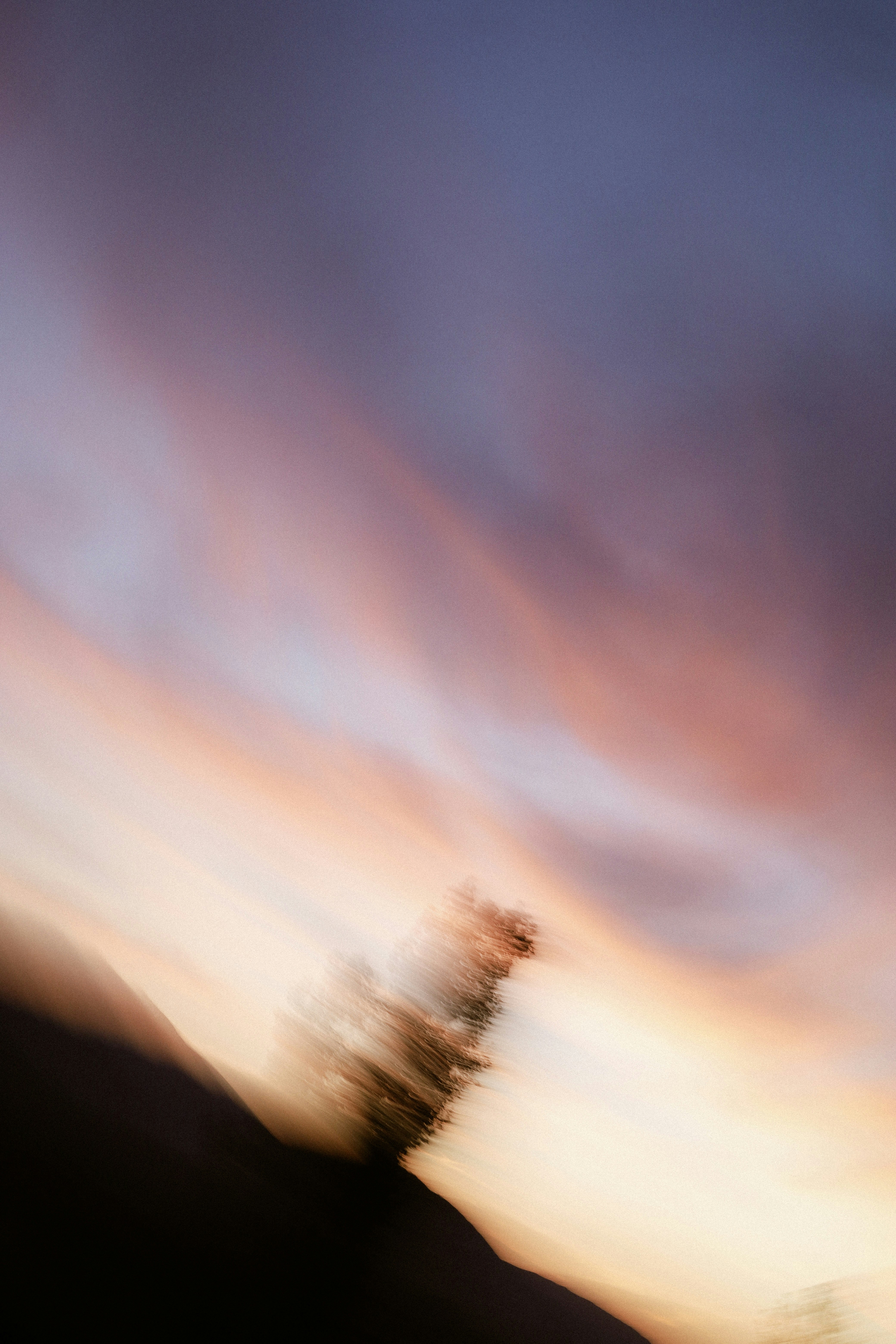 Photo by Nataliya Melnychuk with Canon EOS RP