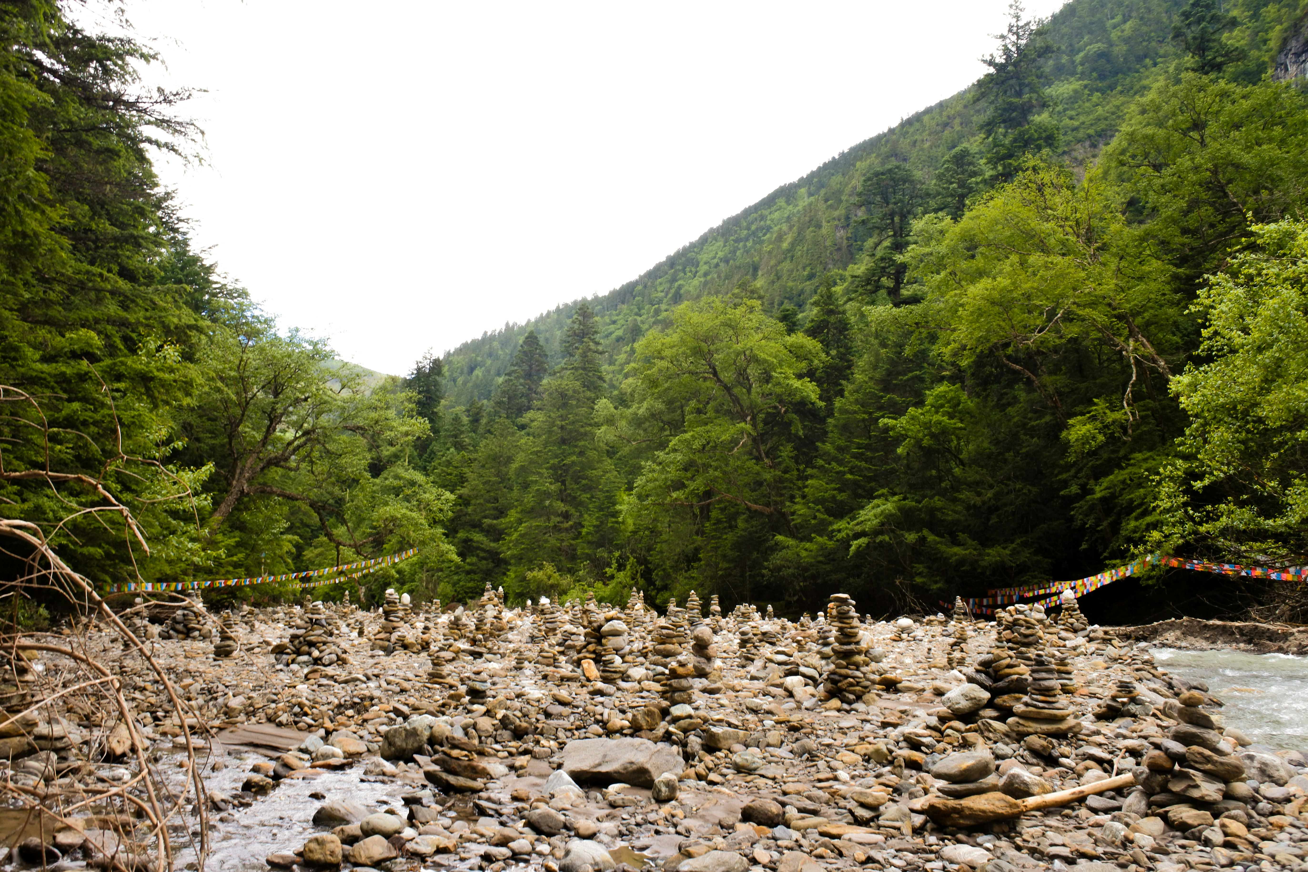 Photo by HsinKai Tai with Nikon 1 J5