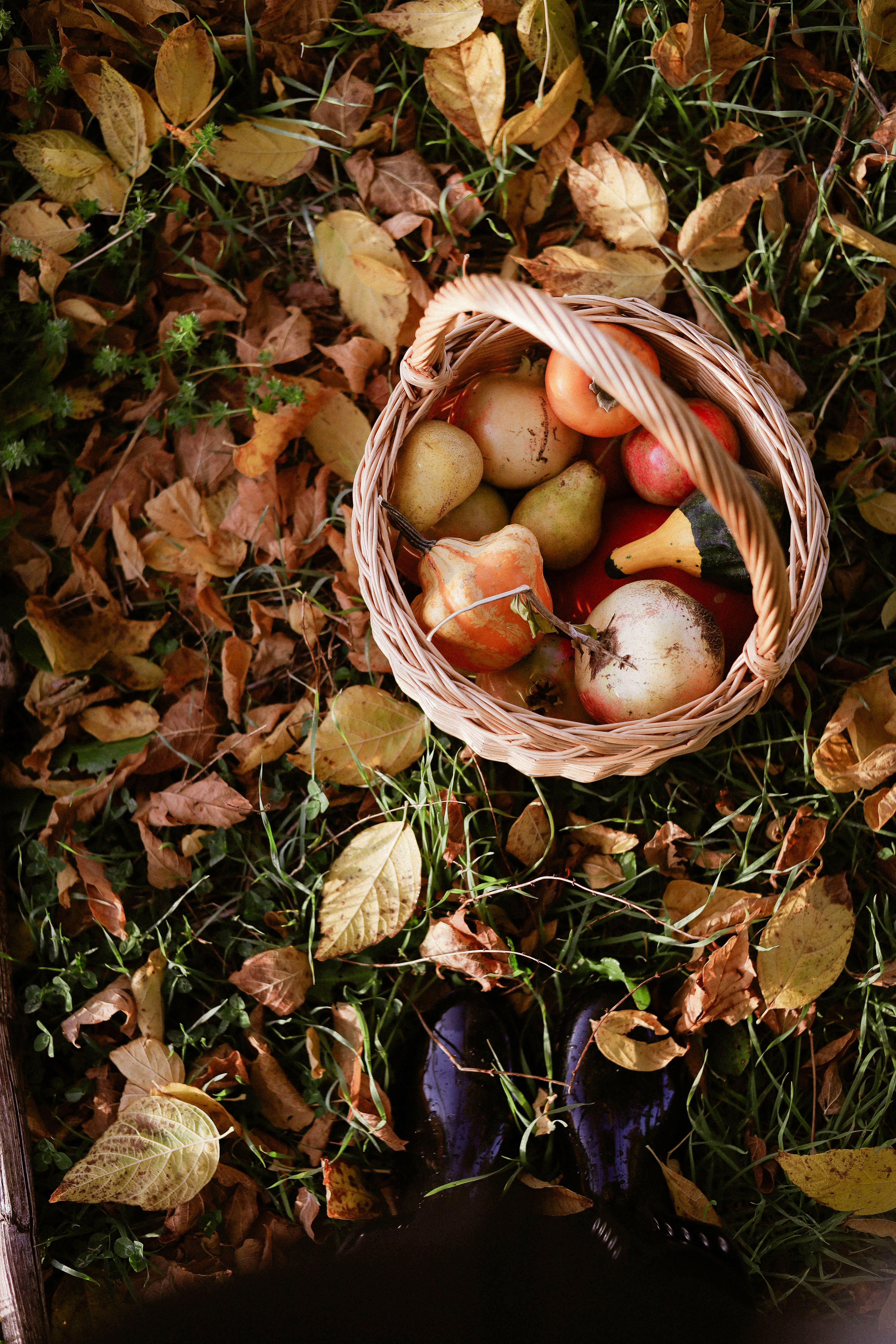 Wicker basket filled with autumn produce on fallen leaves