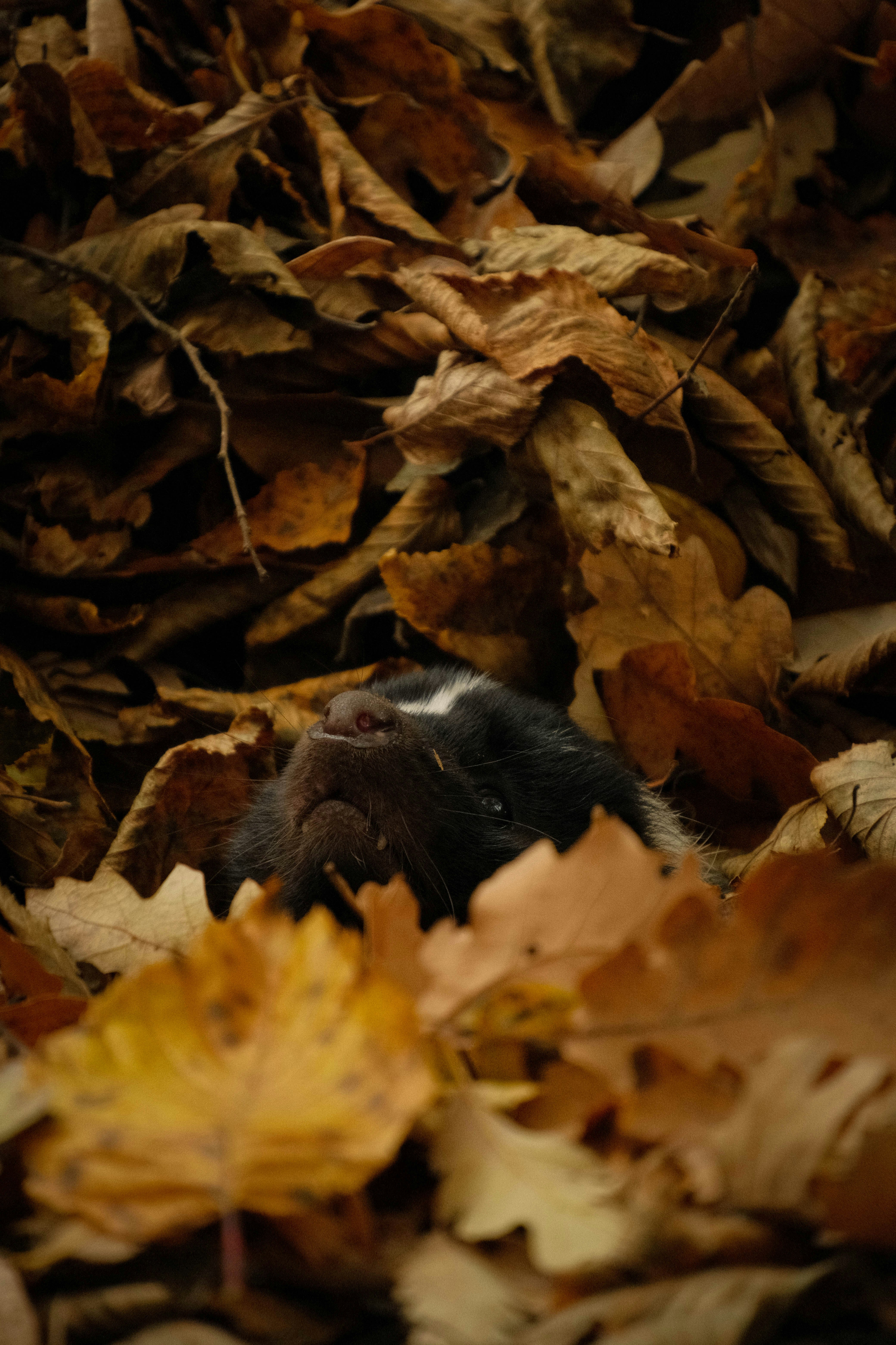 Photo by Noémi Szász with Fujifilm X-T30 II