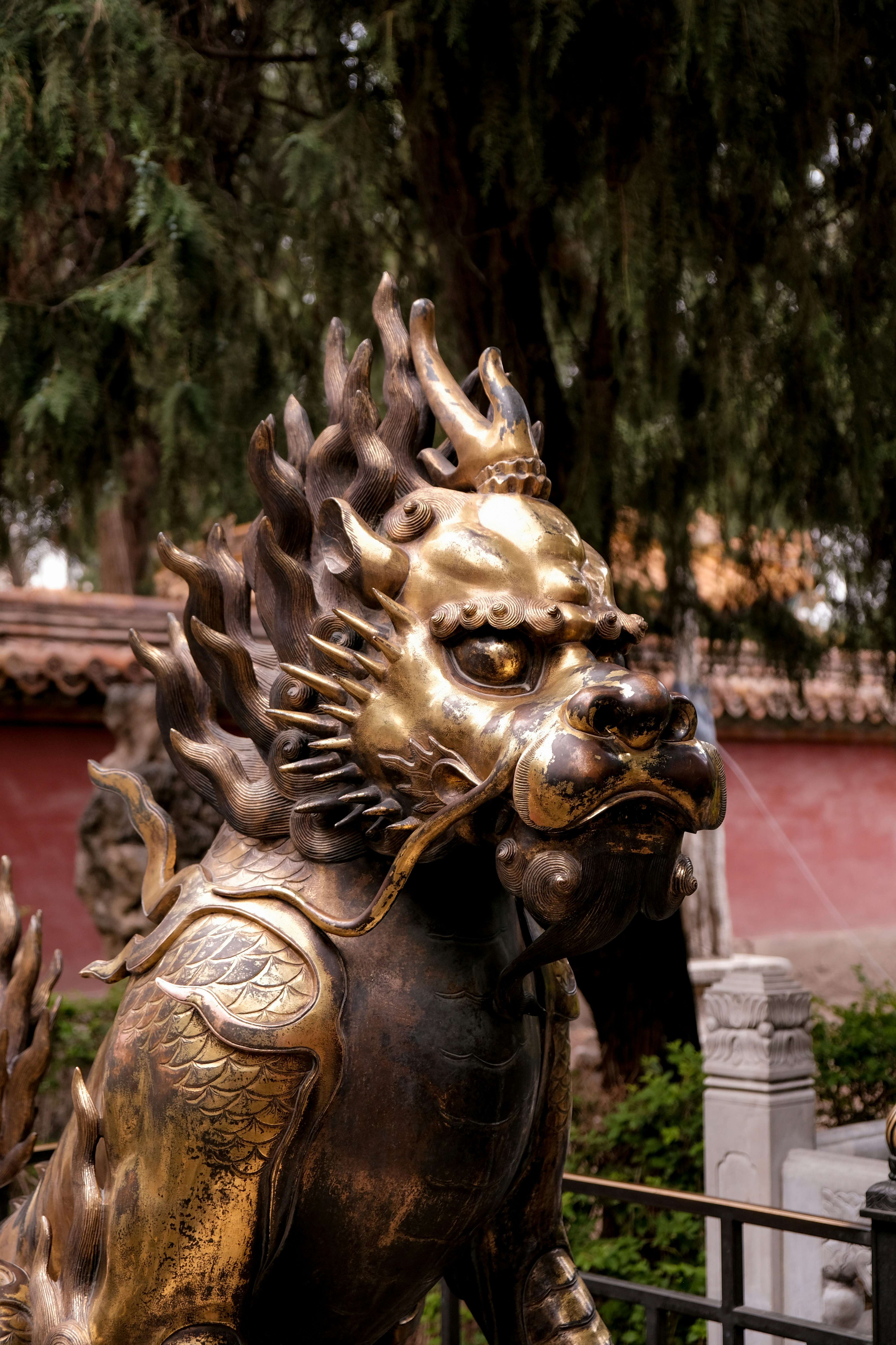 Gilded Guardian Dragon in the Temple Courtyard