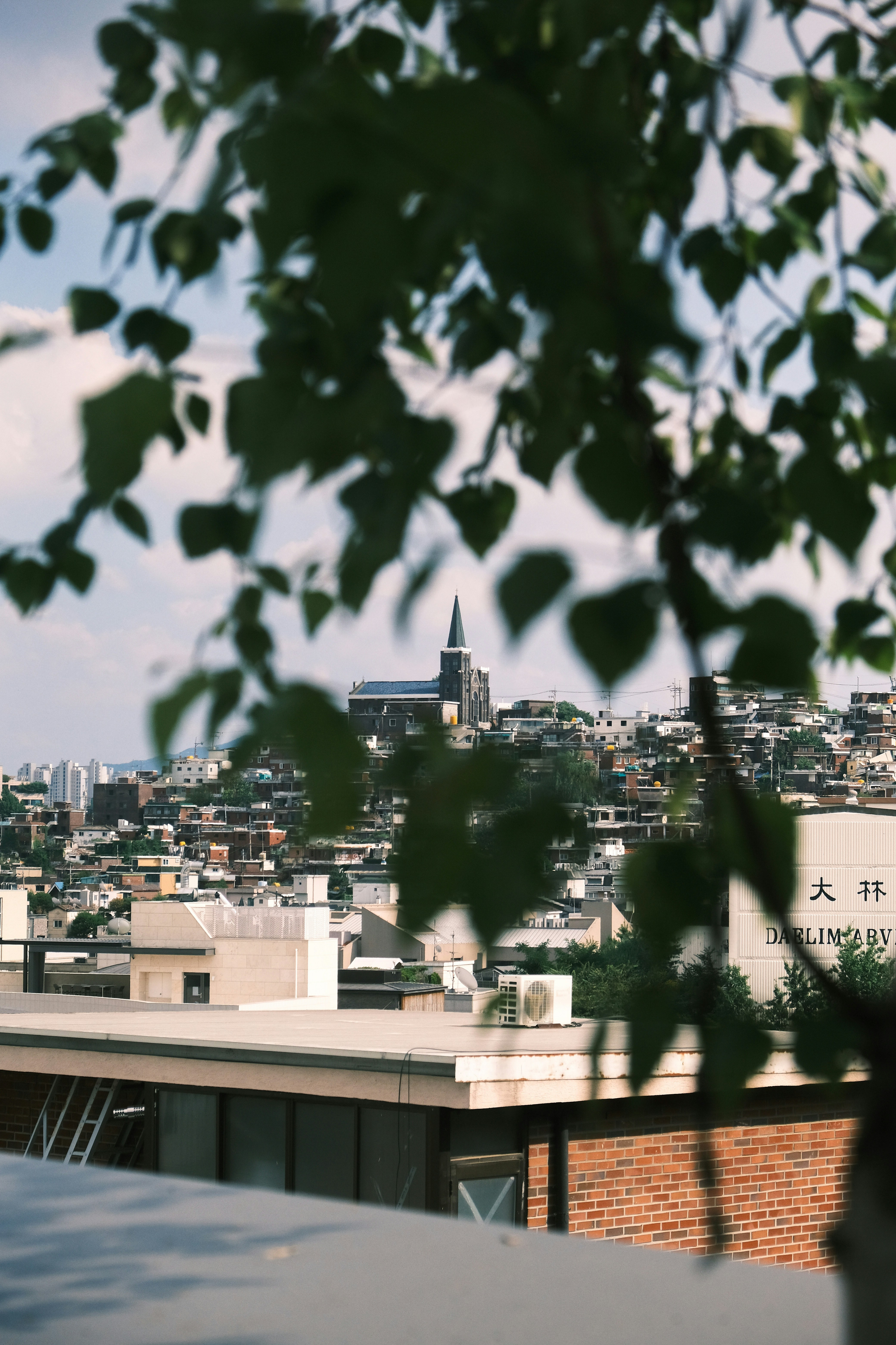 Veiled Spire: City Rooftops Framed by a Quiet Foliage Curtain
