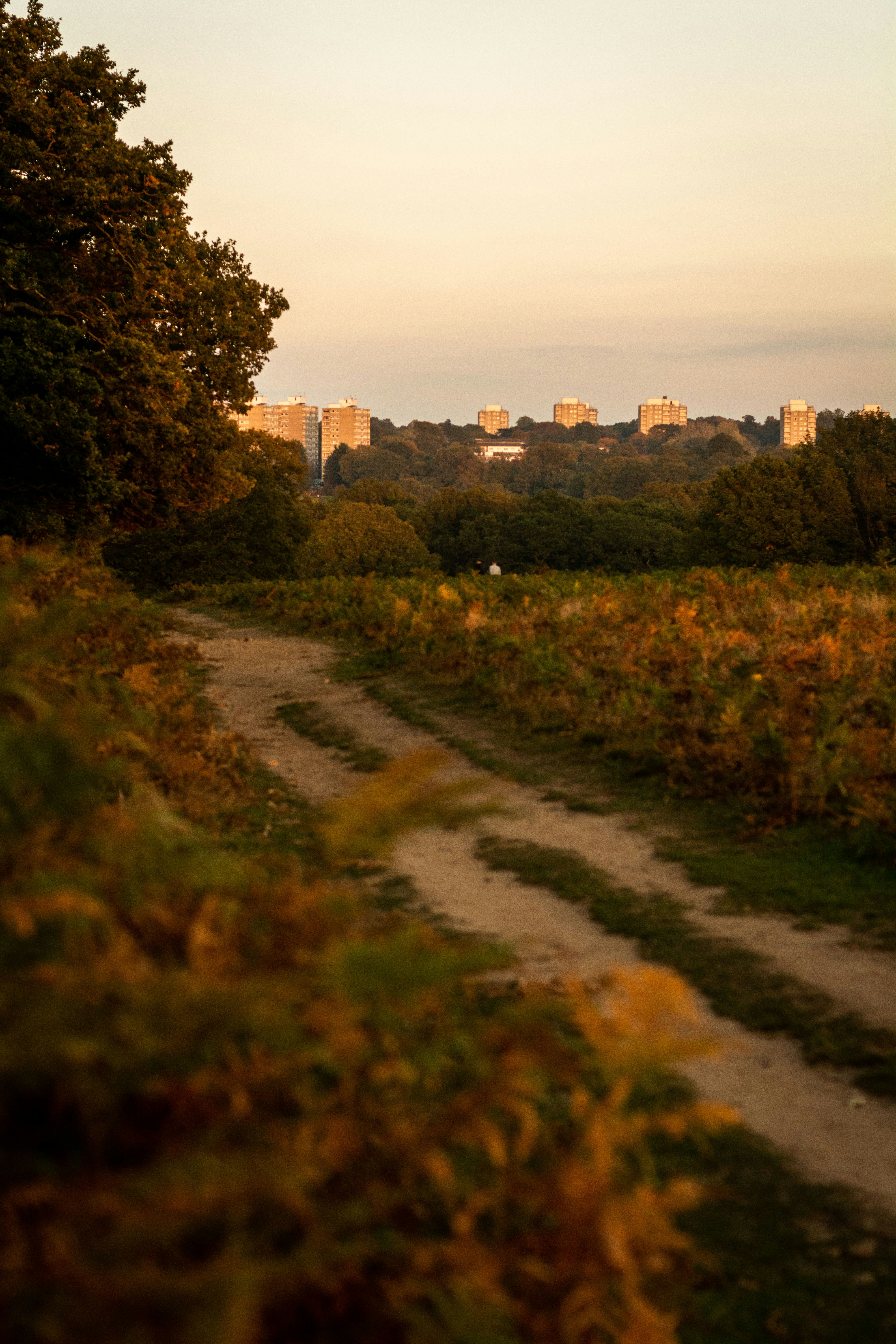 Dusk Trail Toward the Distant City Skyline