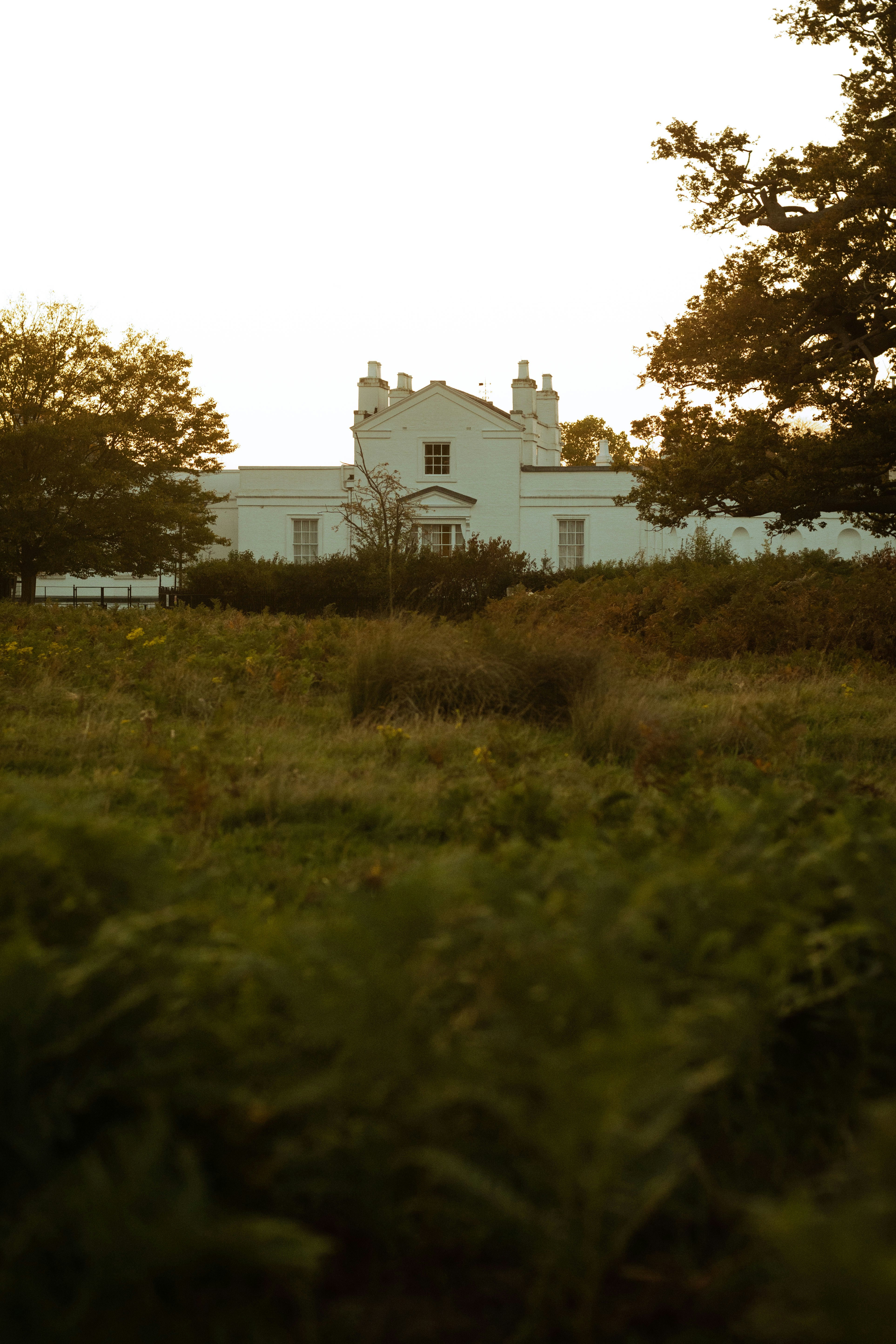 A historic white house framed by lush greenery under a soft golden light.