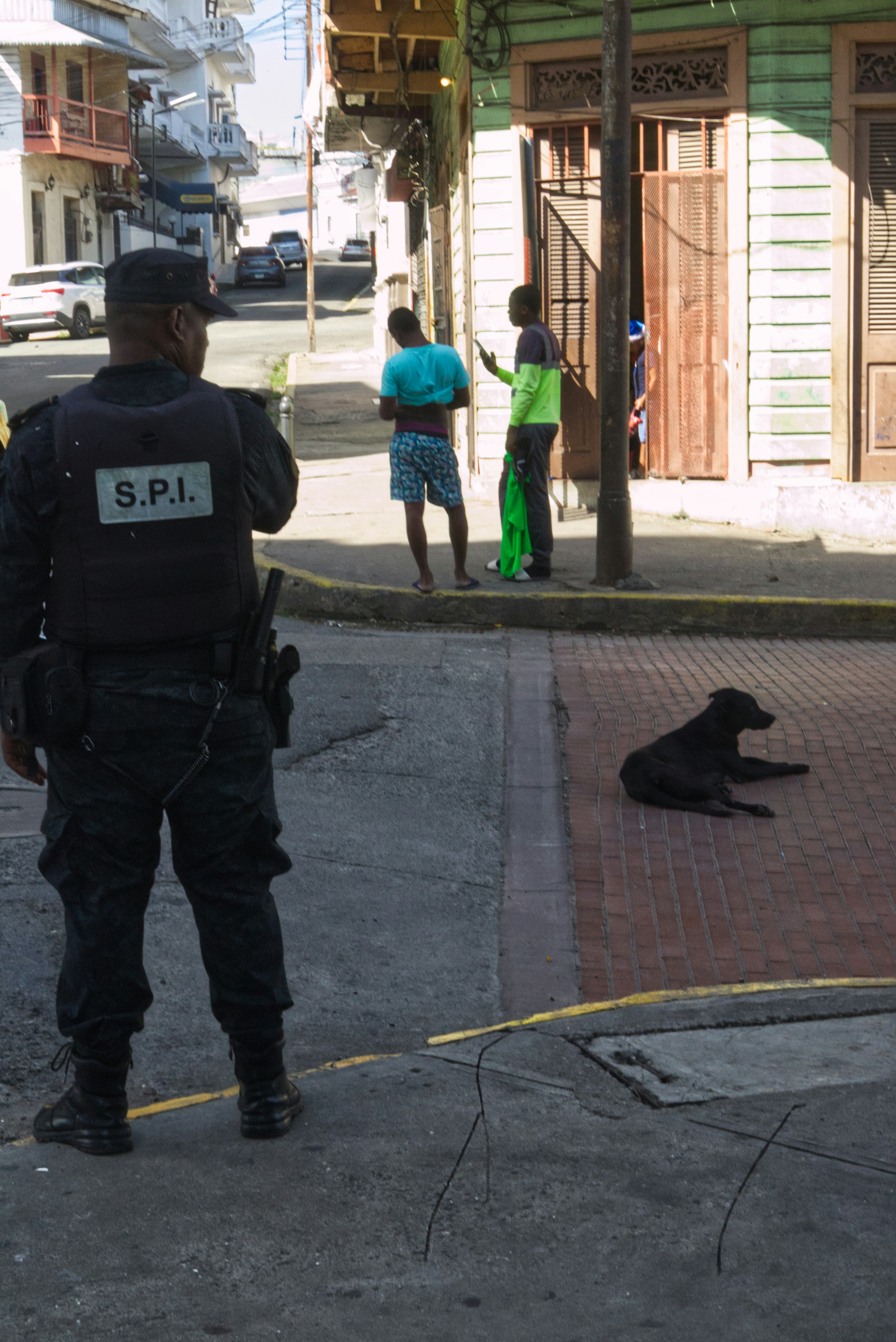 Urban Vigilance: A Moment in the City