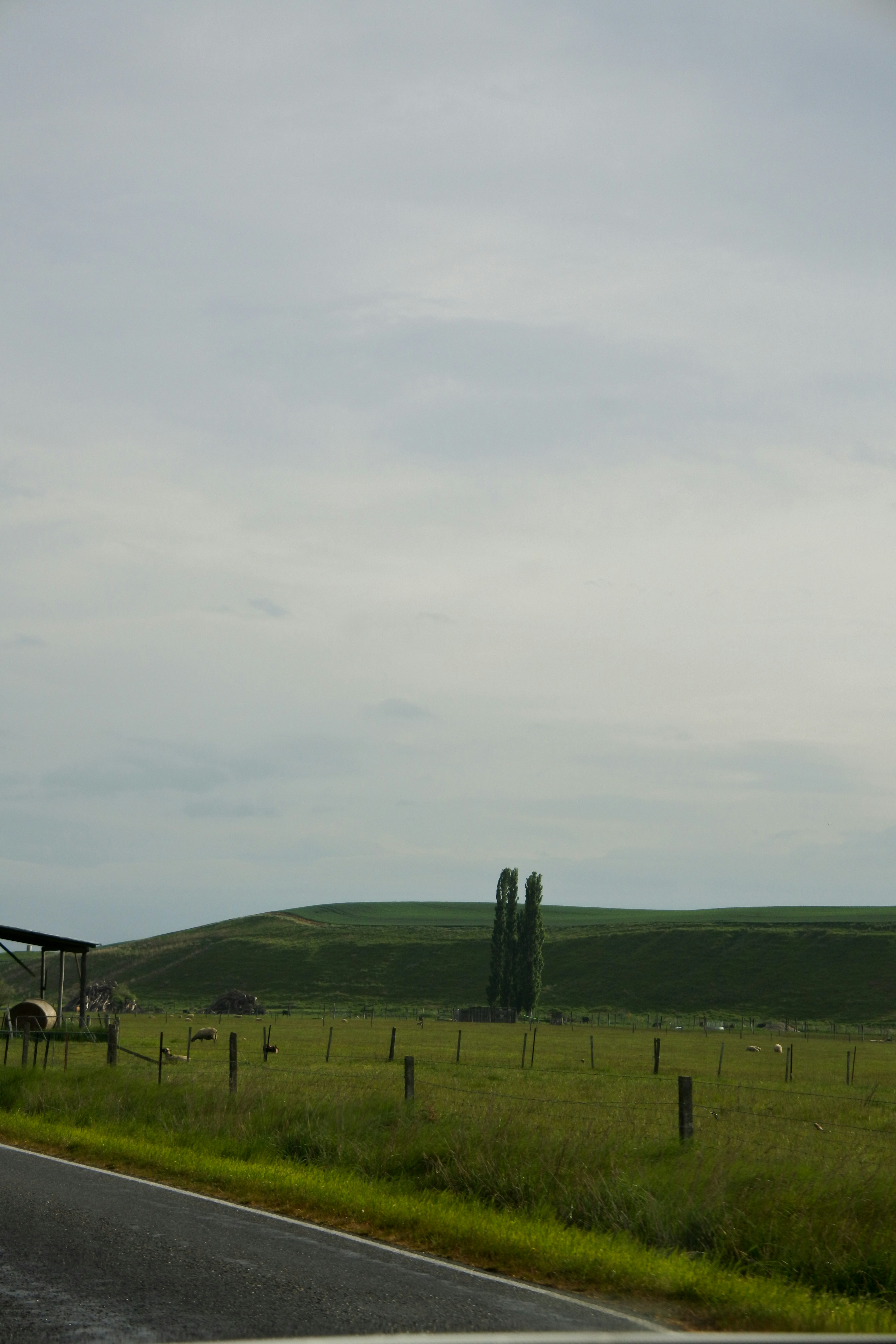 Whispers of the Rolling Hills