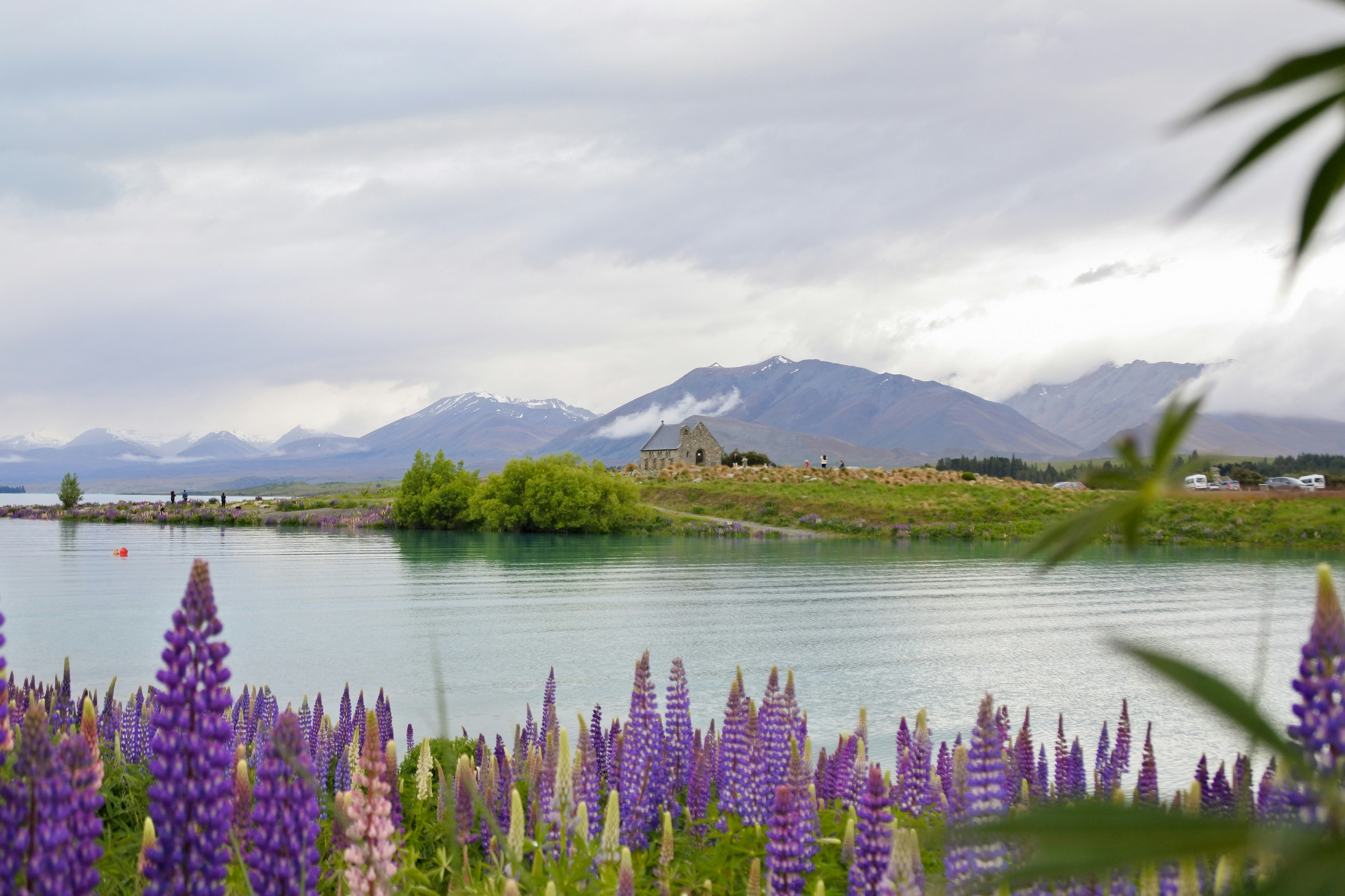 Sample photo from Nikon 1 J5