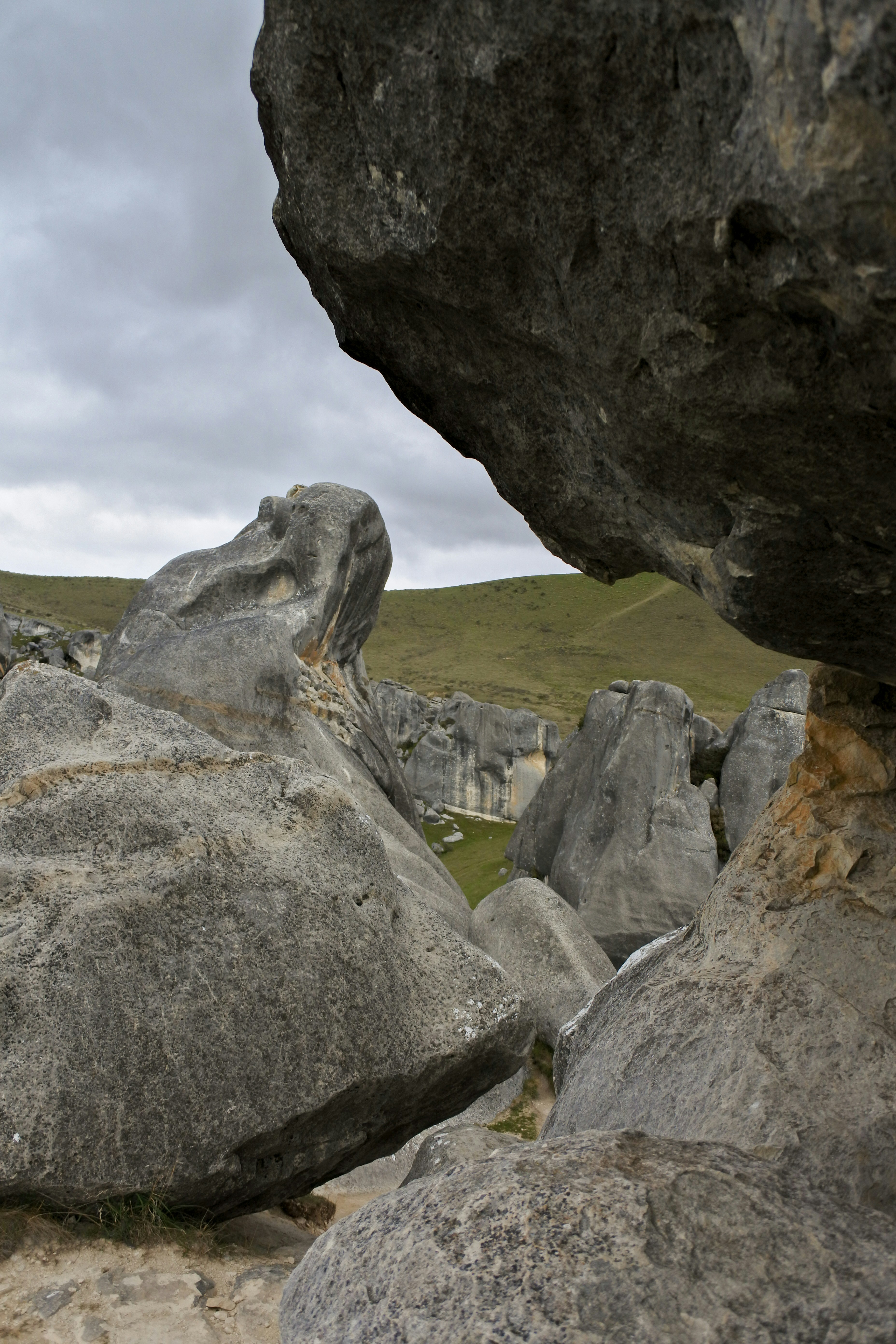 Photo by HsinKai Tai with Nikon 1 J5