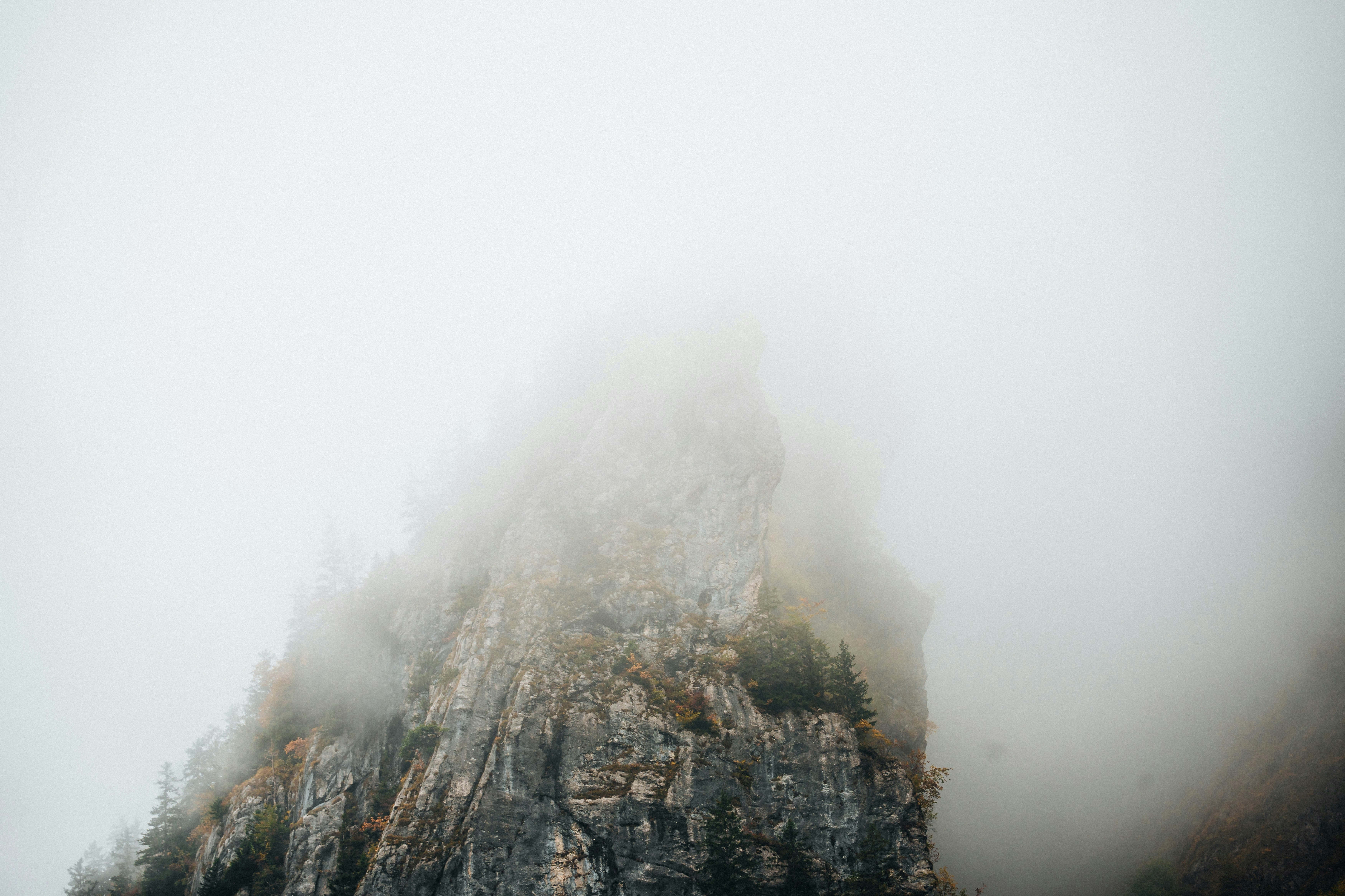 A rugged mountain peak partially obscured by a thick fog, with hints of evergreen trees peeking through. The atmosphere evokes a sense of mystery and solitude.