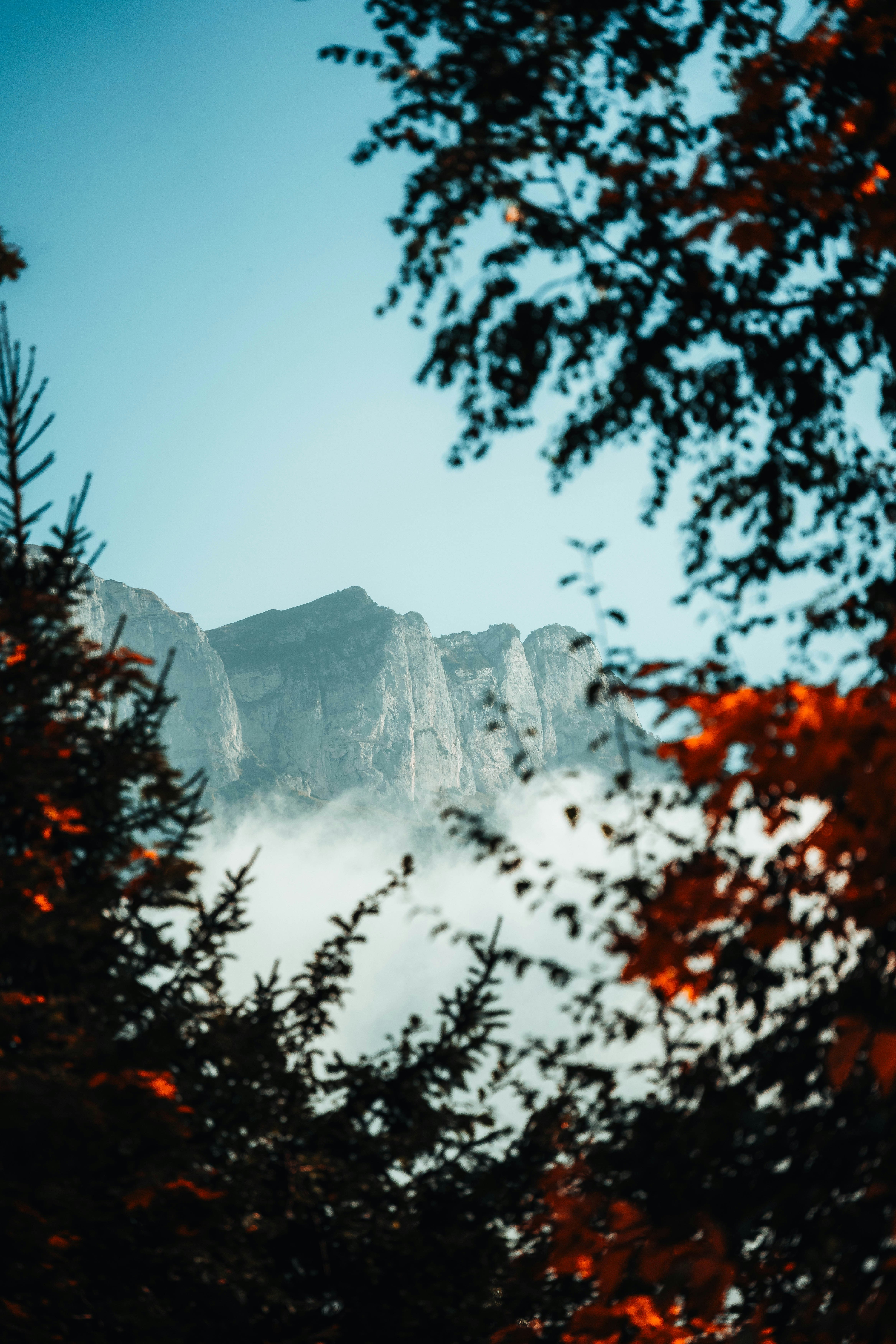 Whispers of the Peaks: Nature's Frame