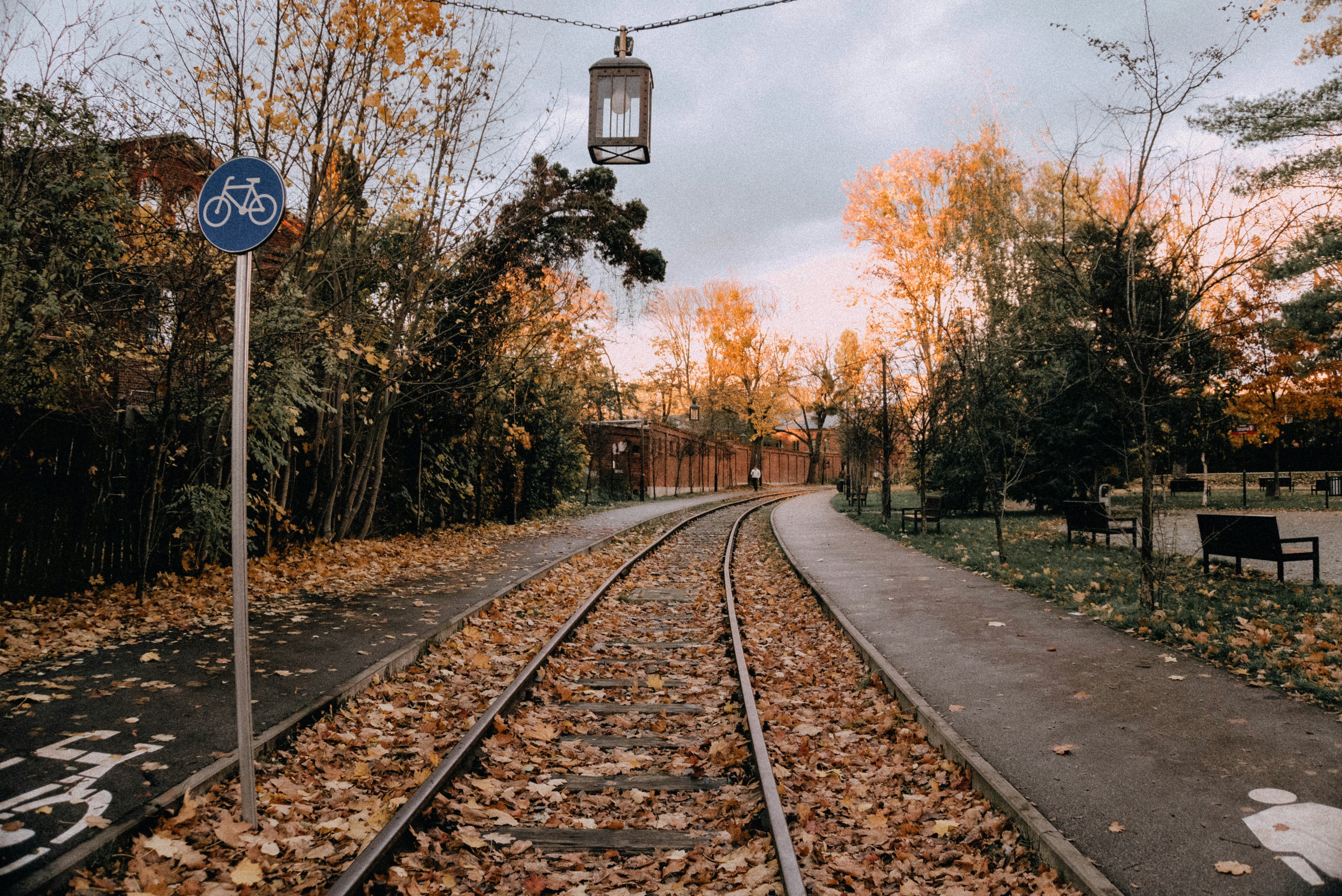 Autumn's Embrace: A Journey Along the Tracks