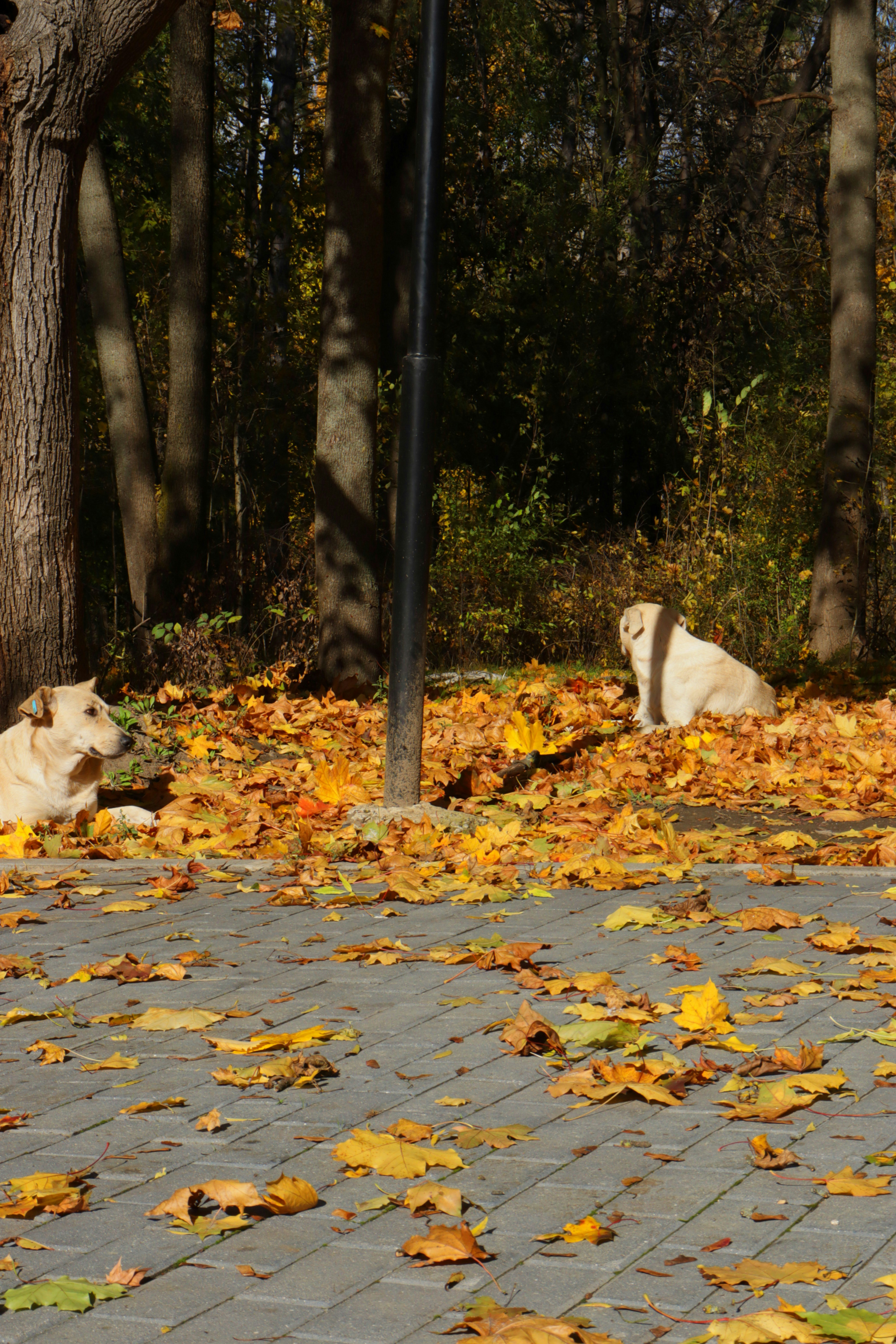 Photo by R. G with Canon EOS 250D