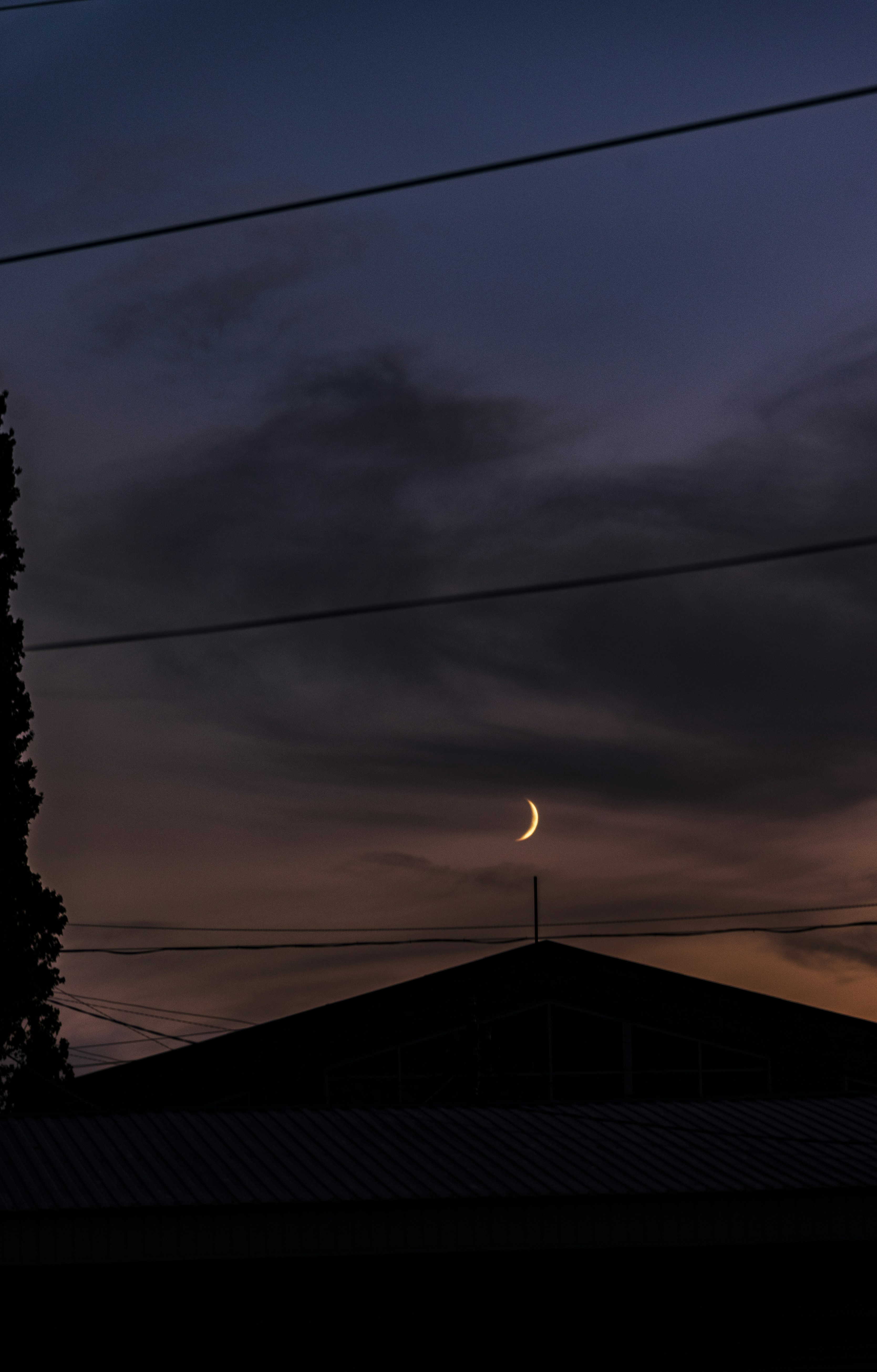 Whispers of Twilight: The Crescent's Embrace