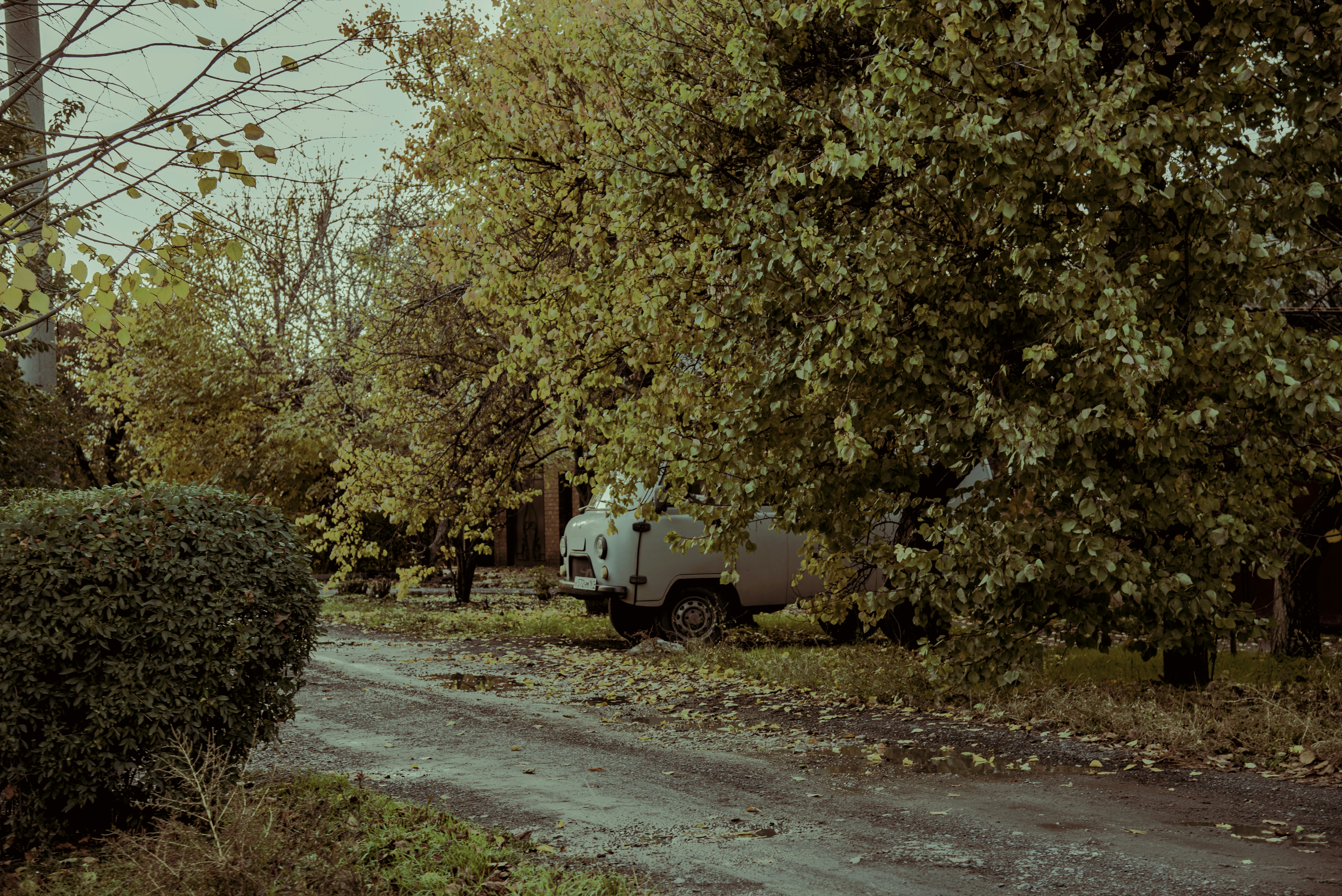 Amber Canopy: The Van Amid Autumn's Quiet Drive