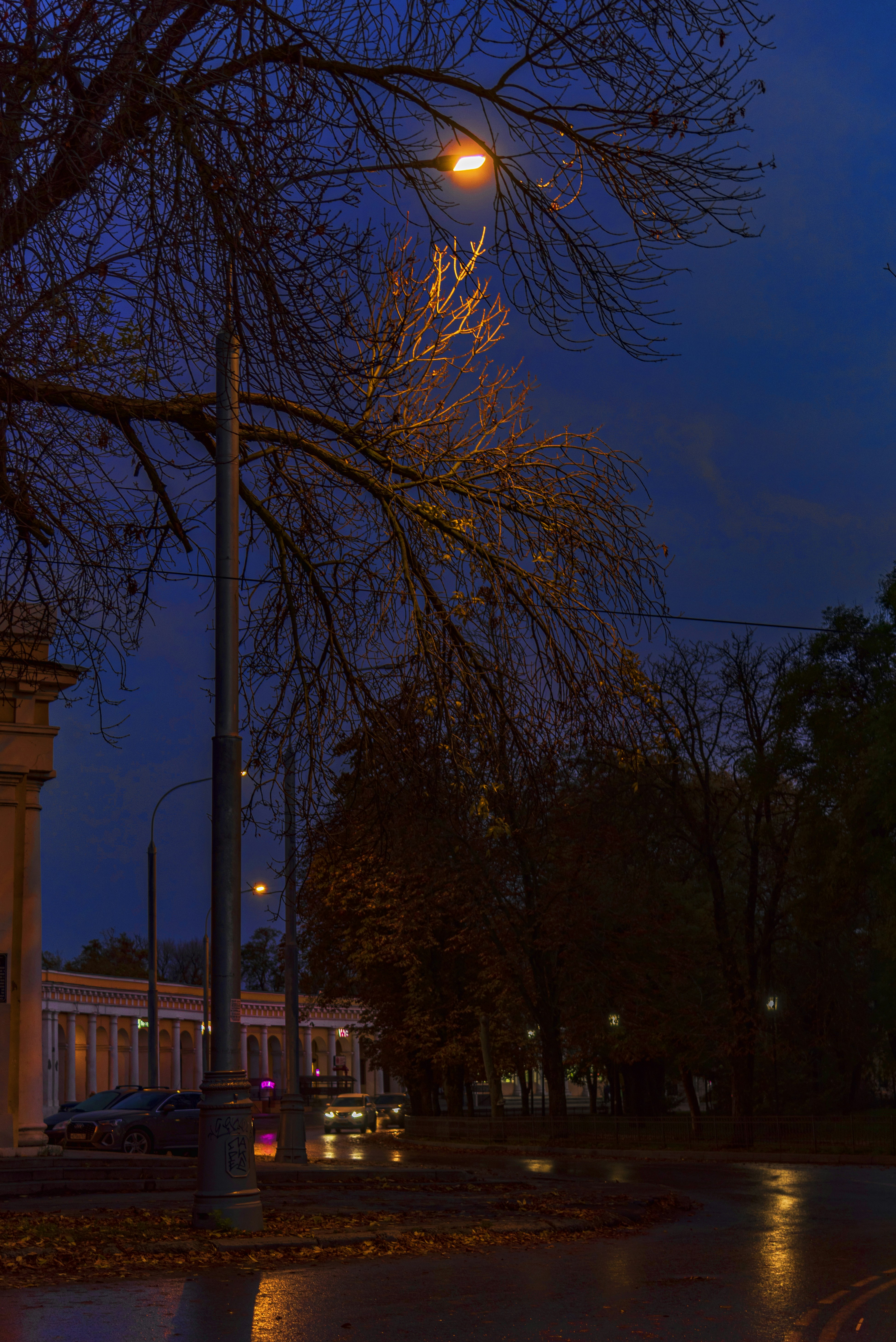 Amber Streetlight Over a Rain-Wet Boulevard at Dusk