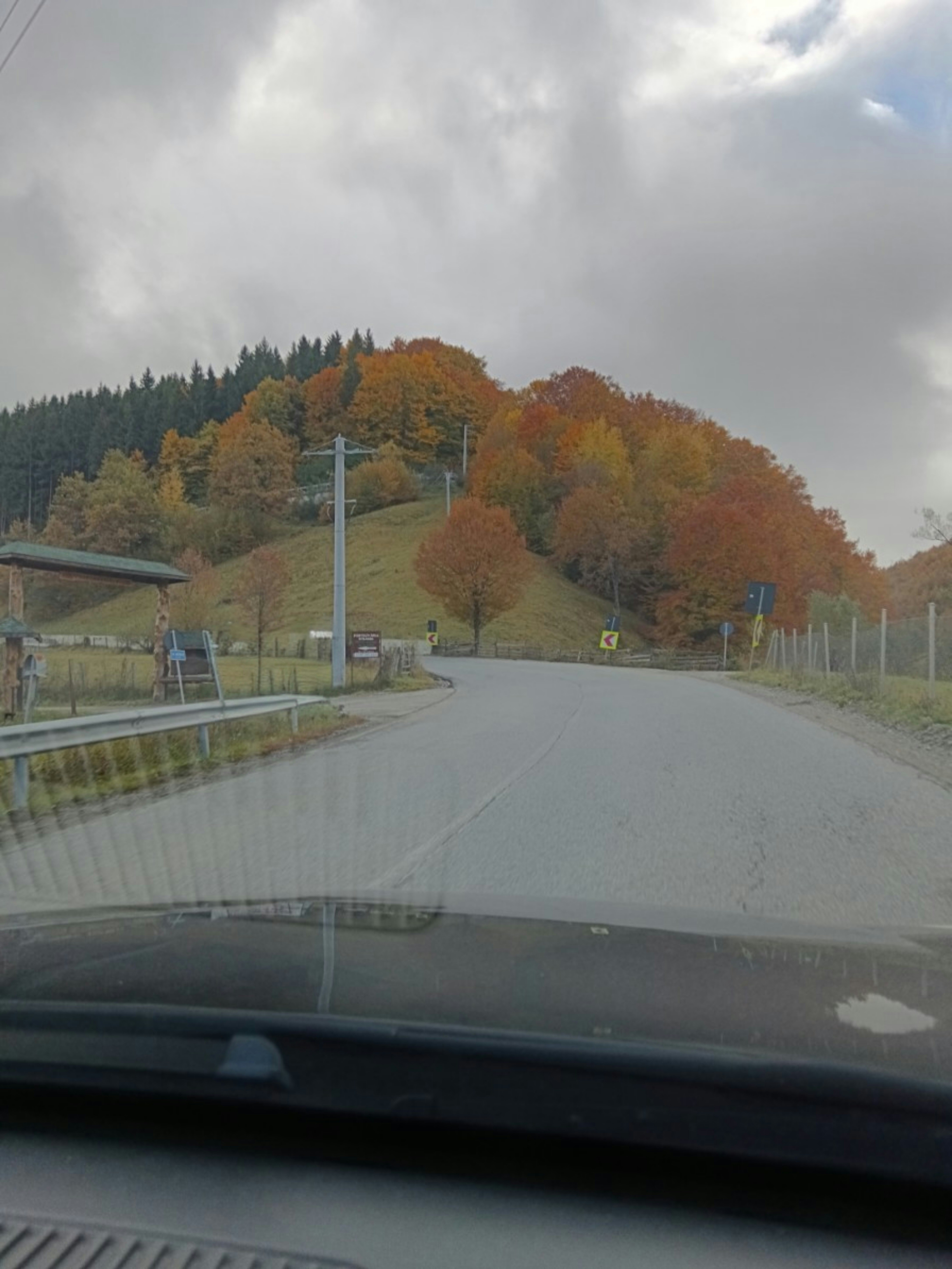 Photo by Emilia Drilea with Honor 90 Lite