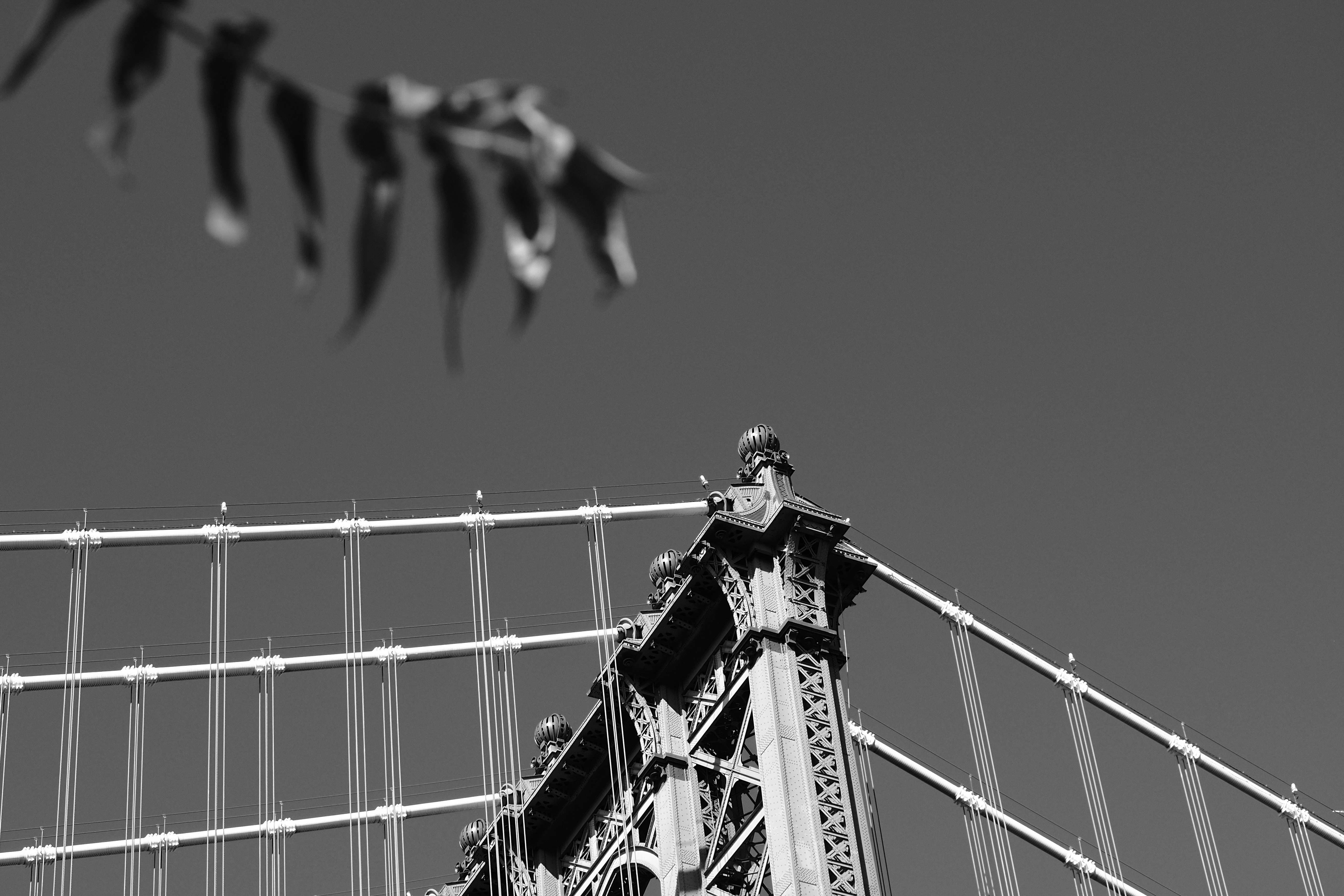 Suspension Geometry: A lone observer on the steel spine
