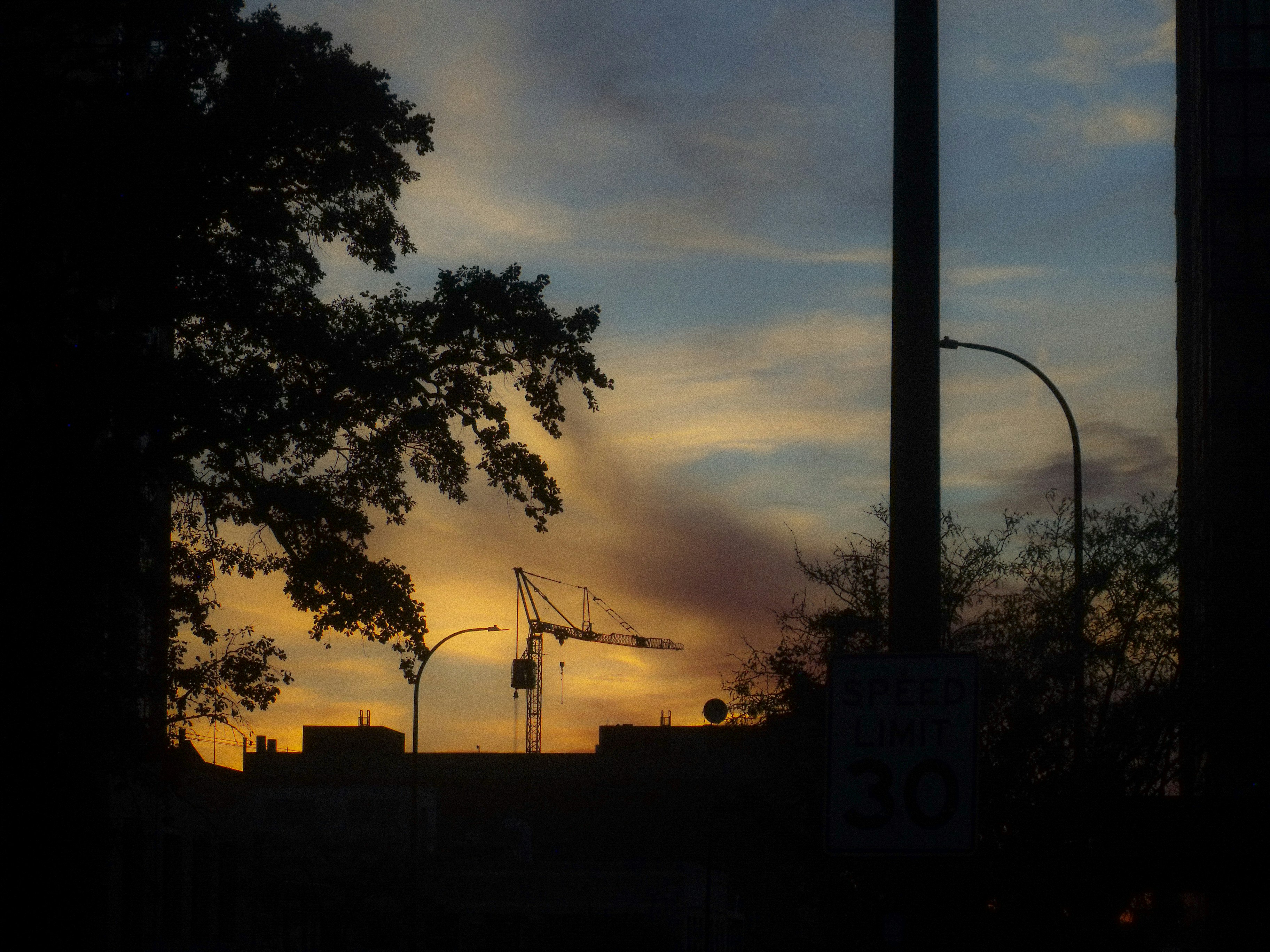 Silhouetted trees and a crane against a vibrant sunset sky, showcasing the intersection of urban development and natural beauty.