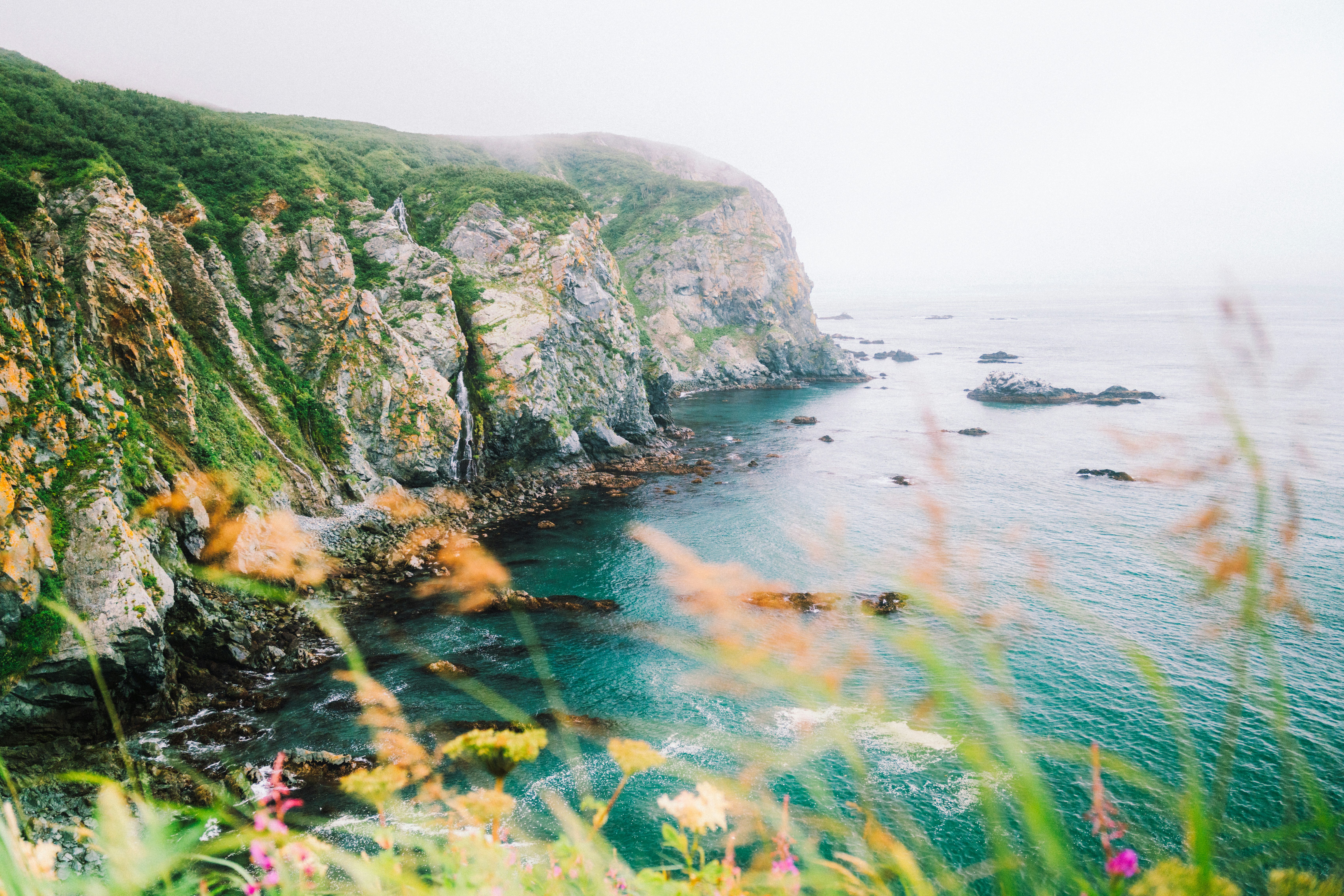 Cliffs kissing the sea: a misty coastal panorama framed by wildflowers