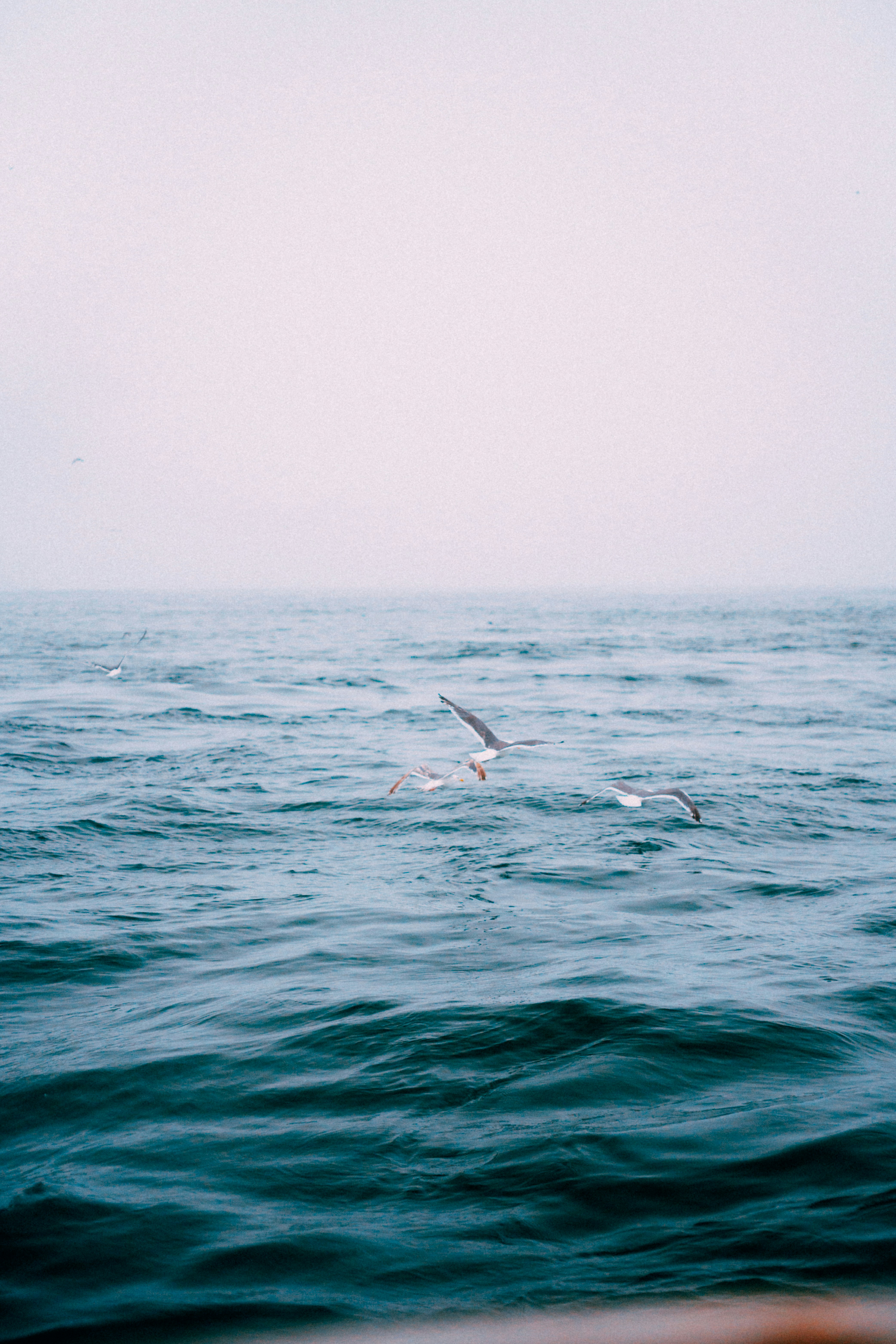 Photo by Andrei Andreew with Sony Alpha 7C II