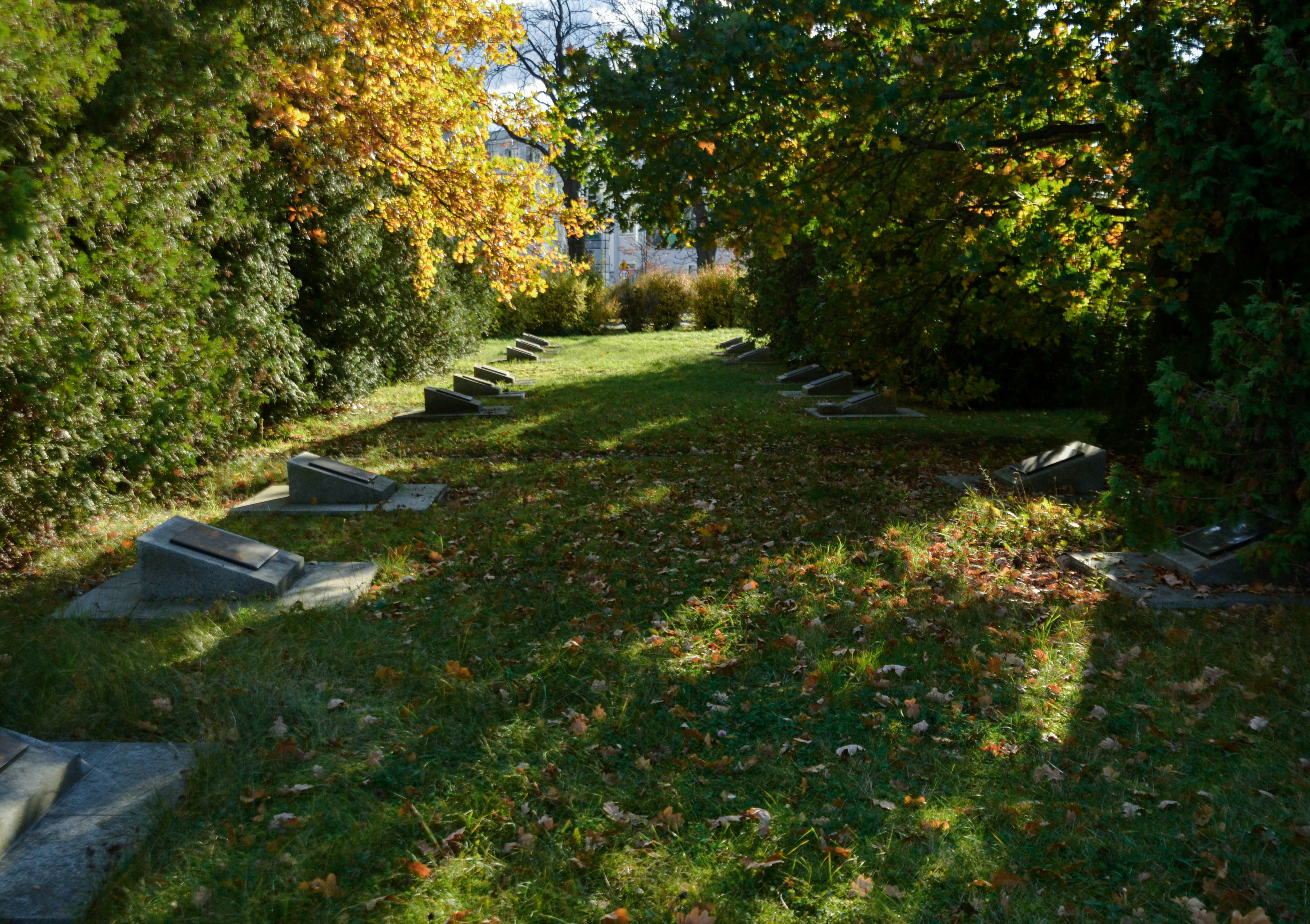 Rows of concrete blocks on a grassy lawn